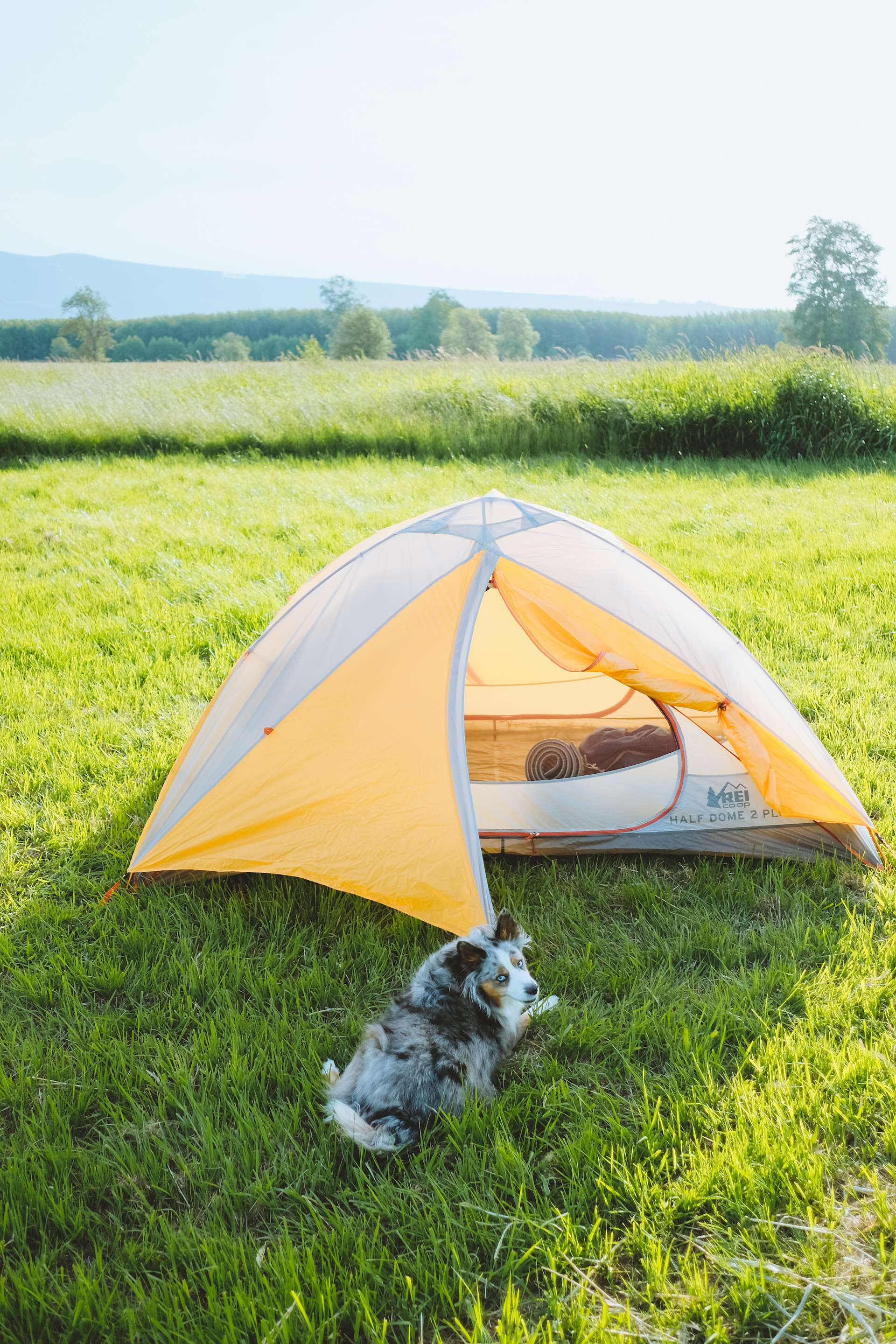 Slow Boat Farm - Island Camping - Hipcamp in Cathlamet, Washington