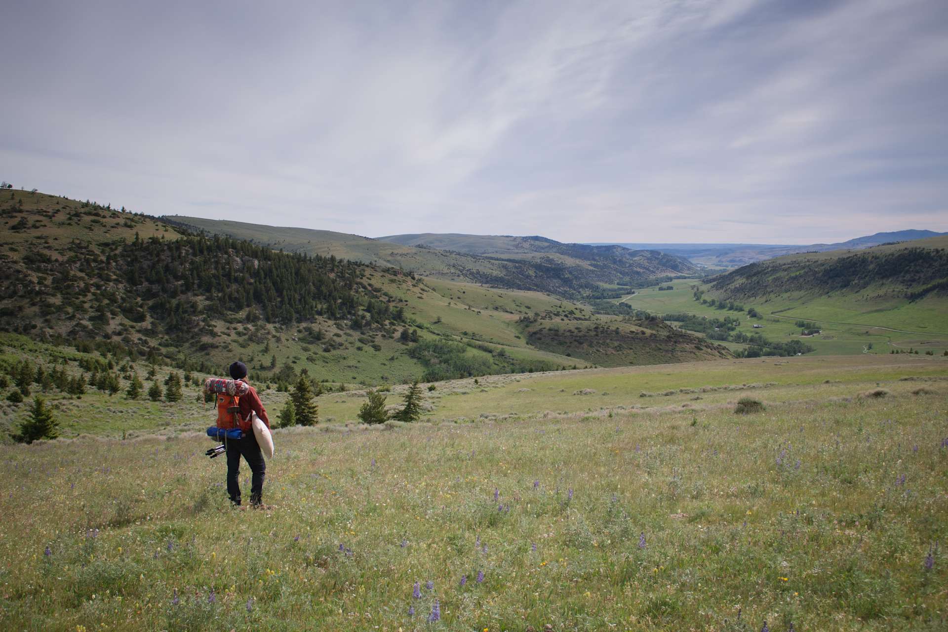 Ellison Ranch - Hipcamp in Mc Leod, Montana