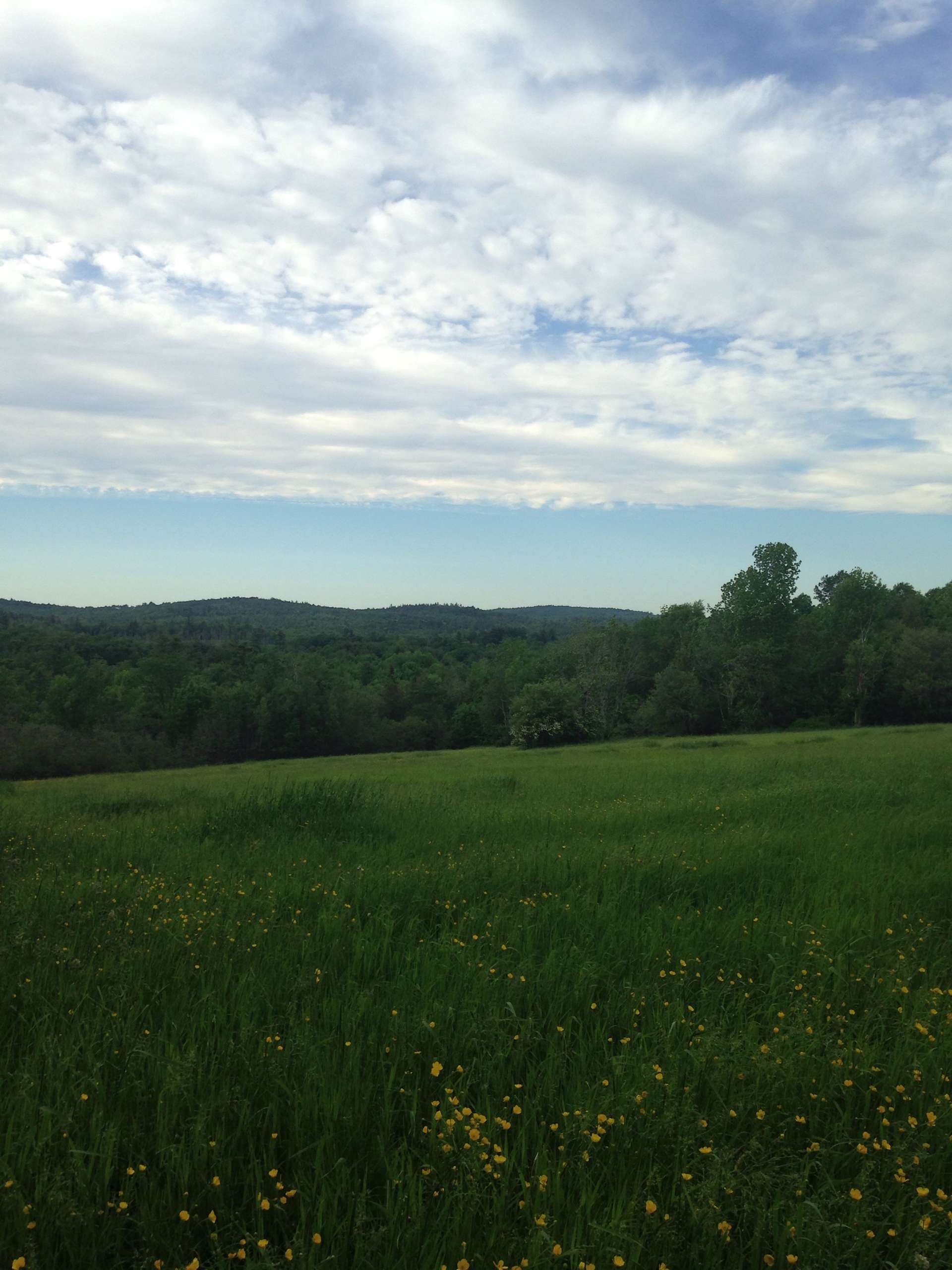 Deering Acres Campground - Hipcamp in Brooks, Maine