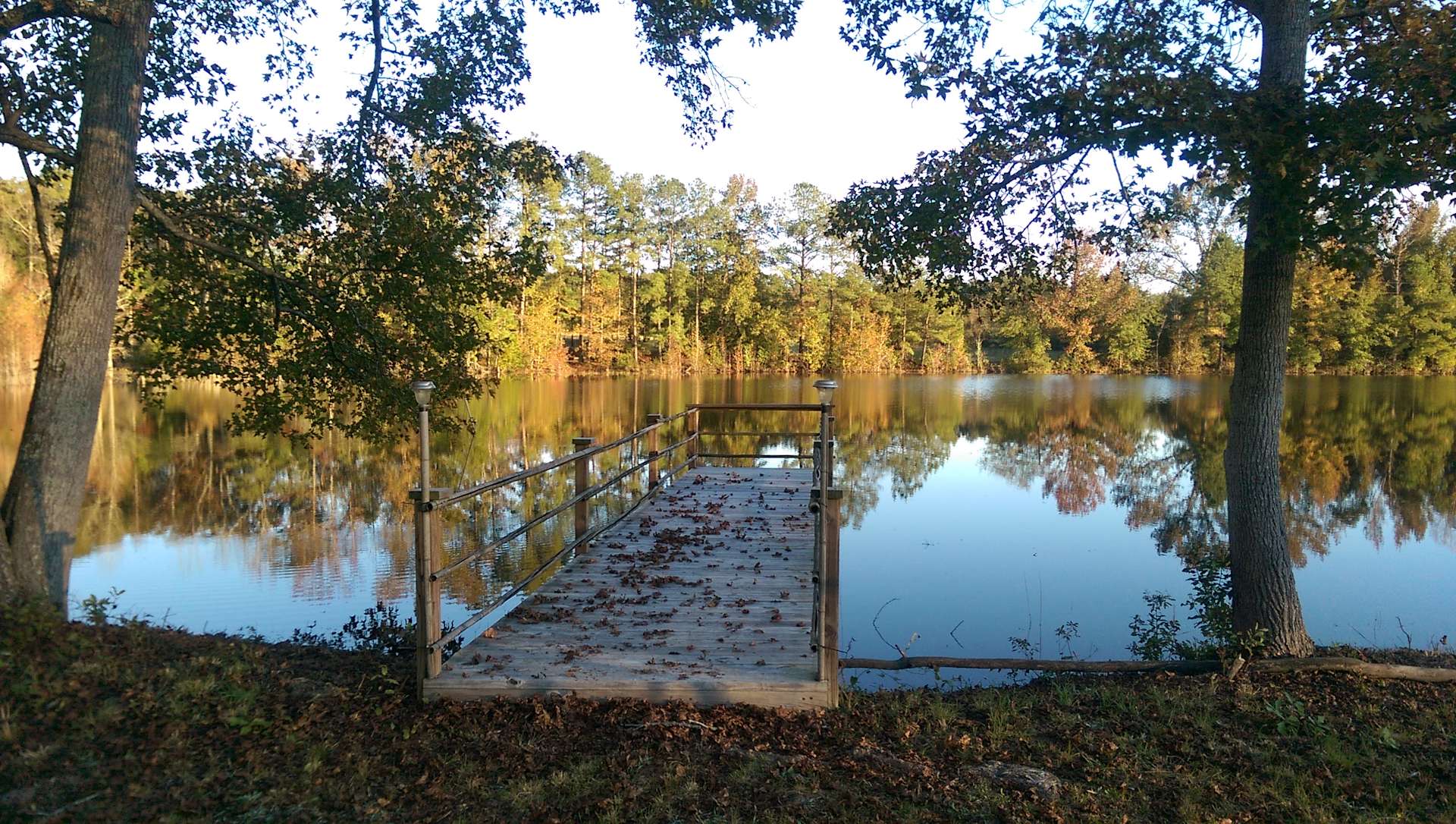 Holly Oak Farms - Hipcamp in St Matthews, South Carolina