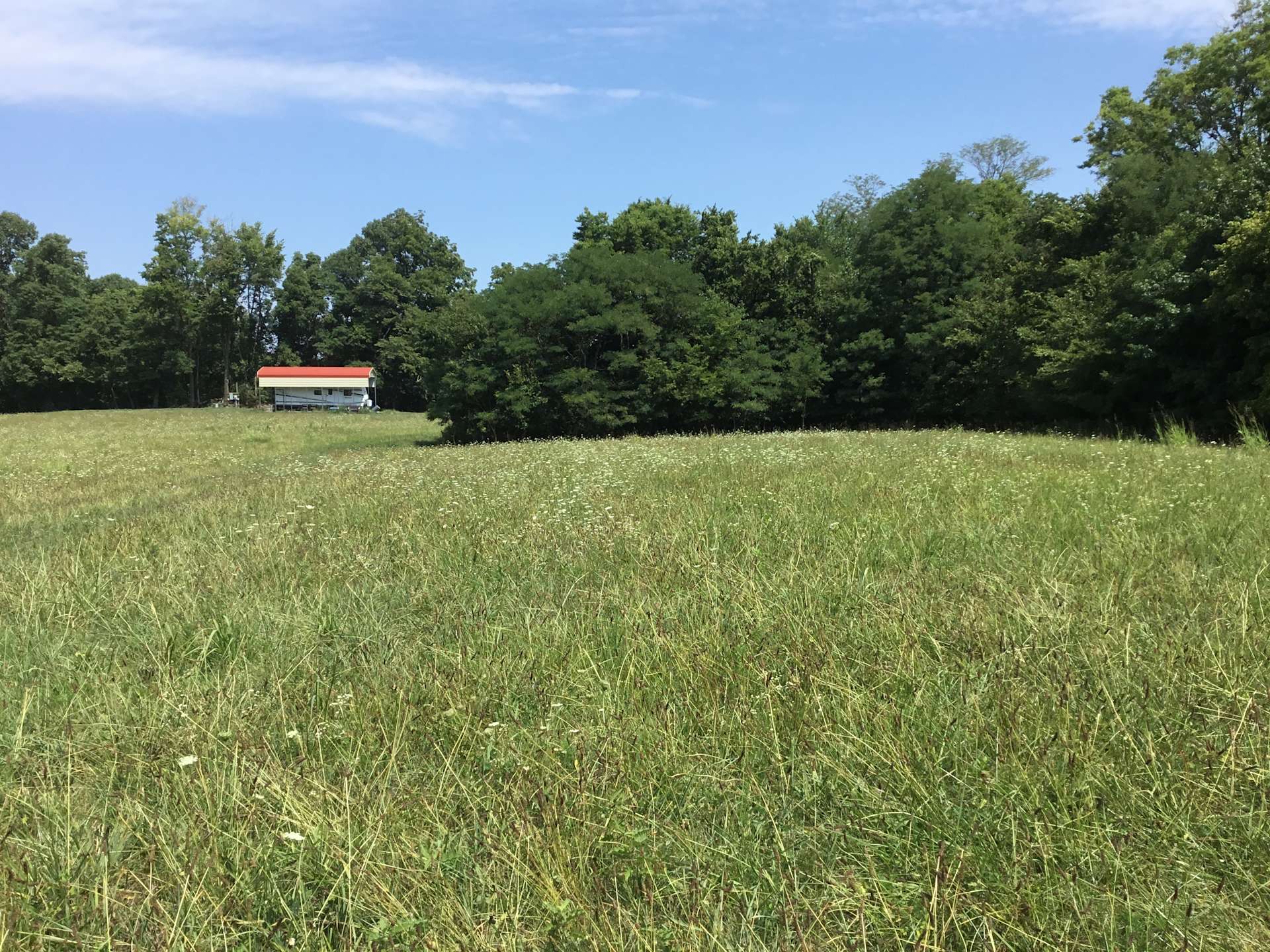 Pond Ridge Adventure - Hipcamp in Murphysboro , Illinois