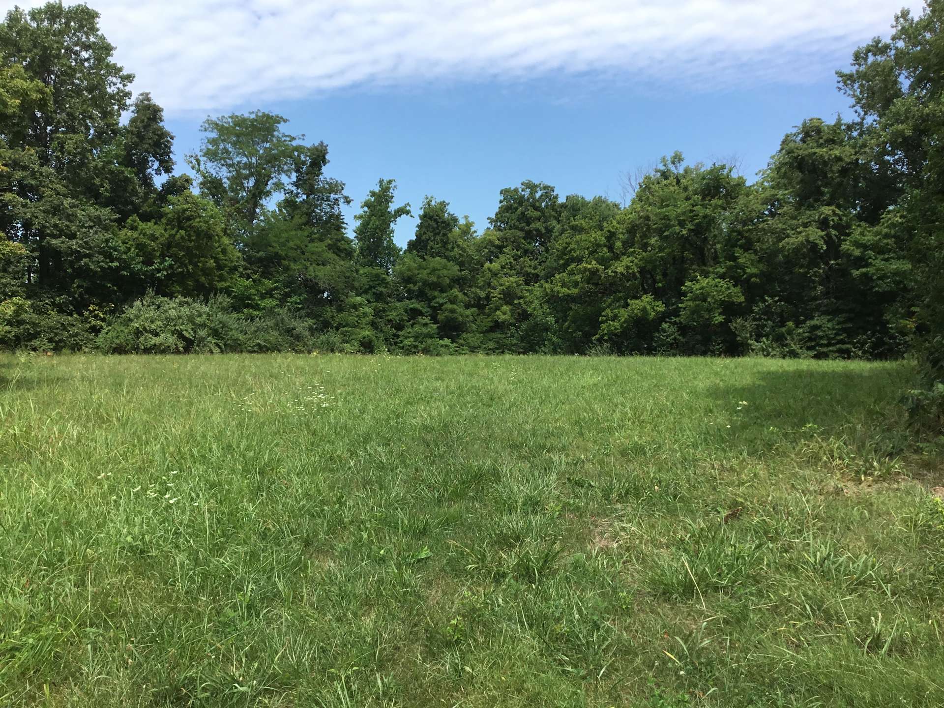 Pond Ridge Adventure - Hipcamp in Murphysboro , Illinois