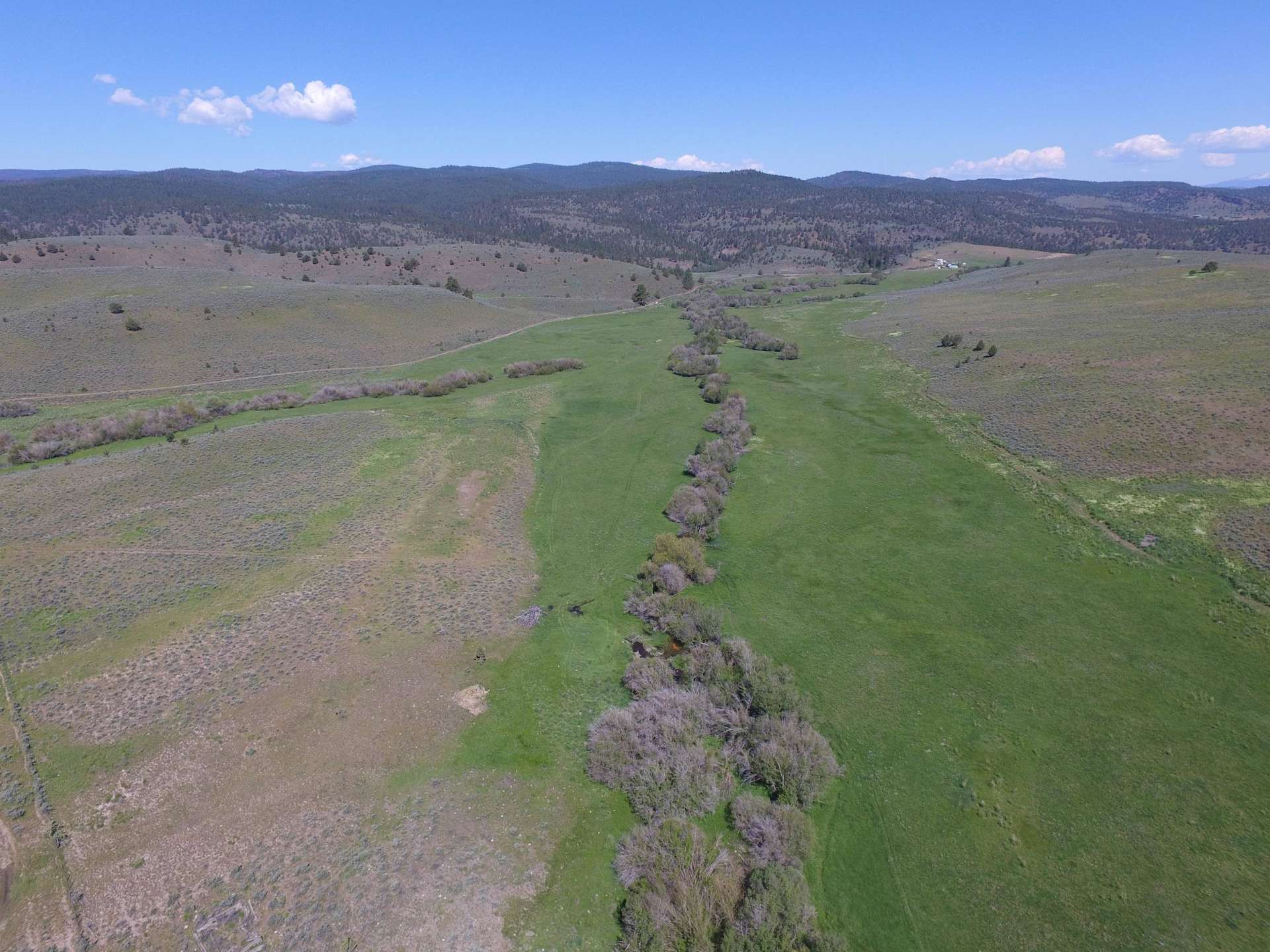 Oregon Eclipse Camp - Hipcamp in Unity, Oregon