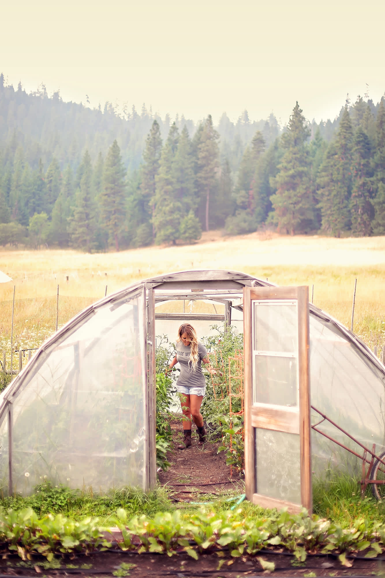 Willow-Witt Ranch - Hipcamp in Ashland , Oregon