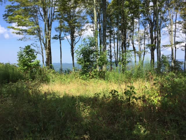 Haw Ridge - Hipcamp in Mars Hill, North Carolina