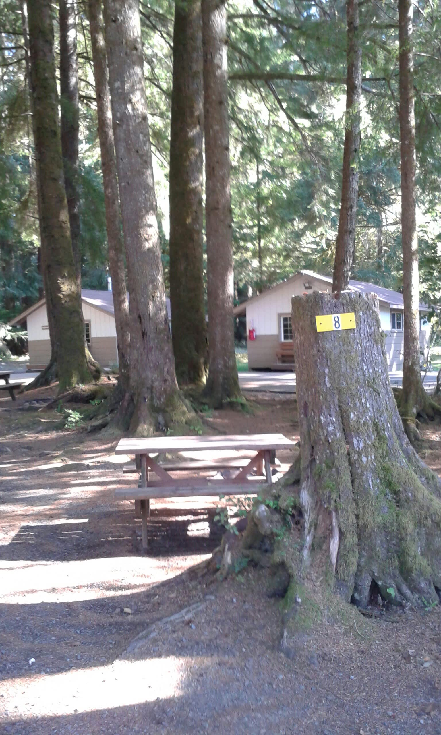 Three Rivers Resort - Hipcamp in Forks, Washington