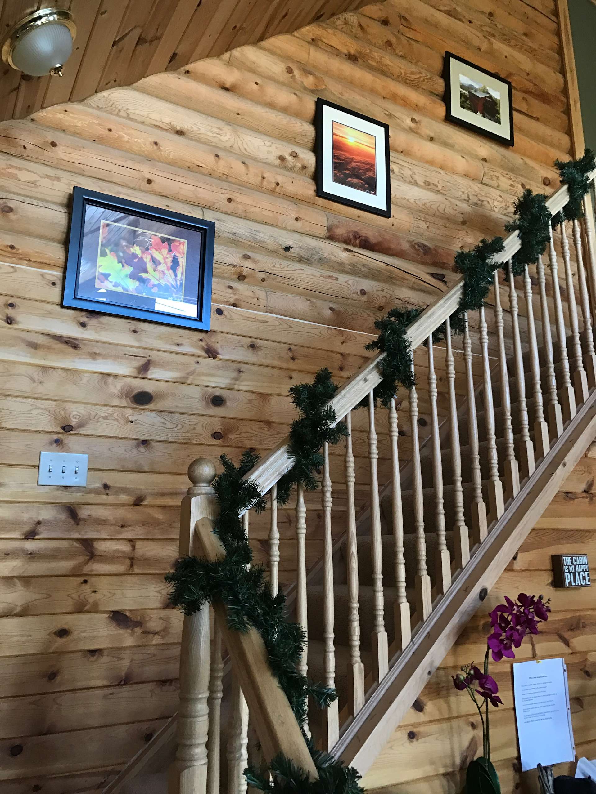 Cabin del Sol - Hipcamp in Fairplay, Colorado