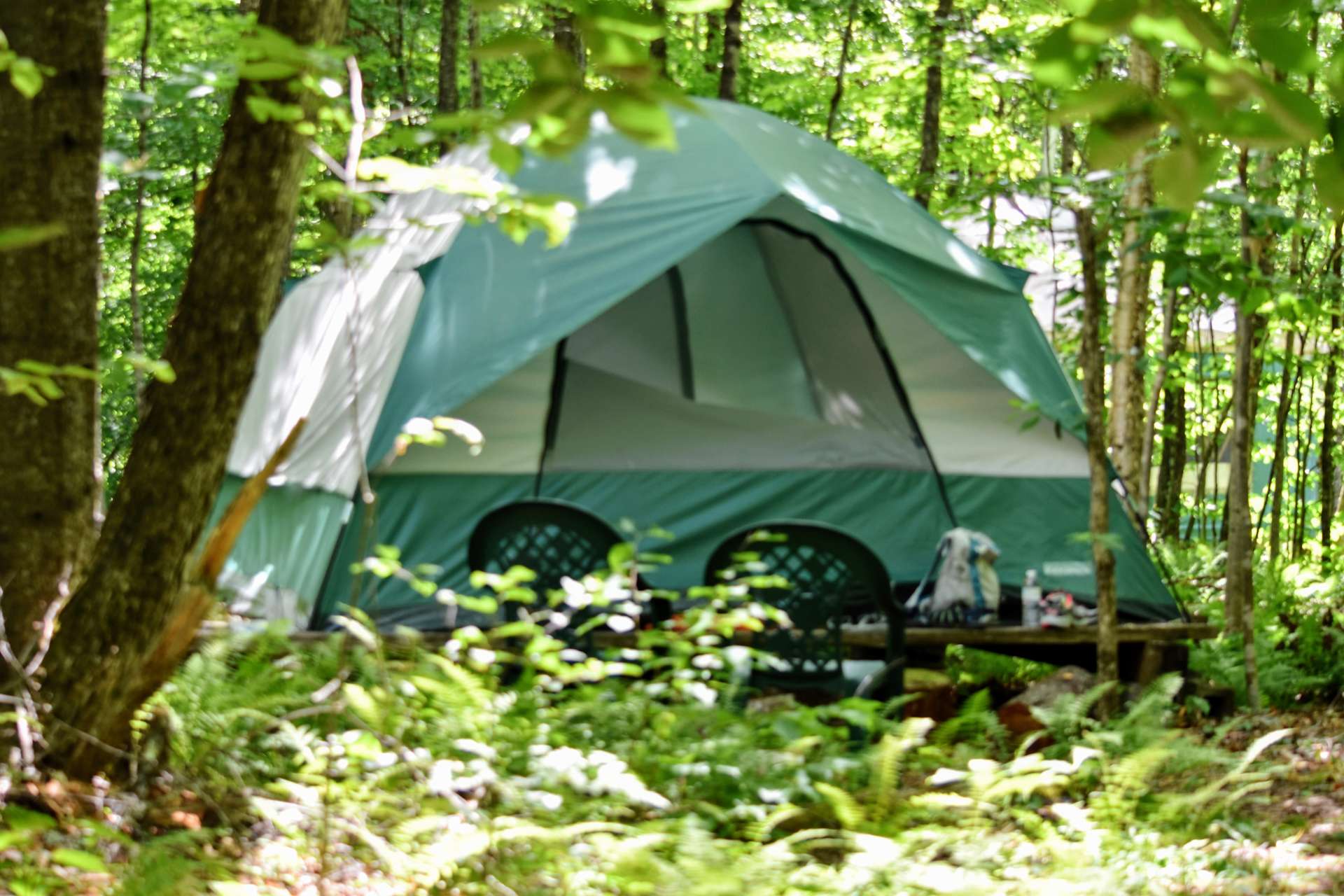 Bold Paths Retreat land - Hipcamp in Strafford, Vermont