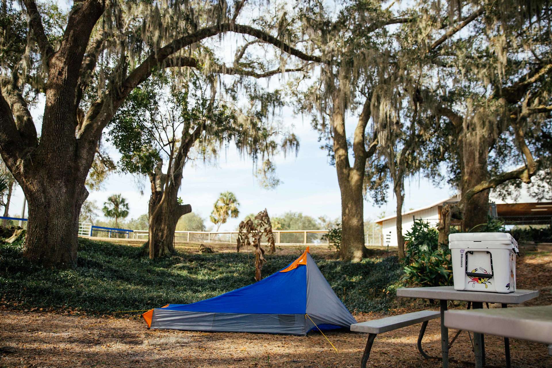Two Hawk Hammock - Hipcamp in Williston, Florida