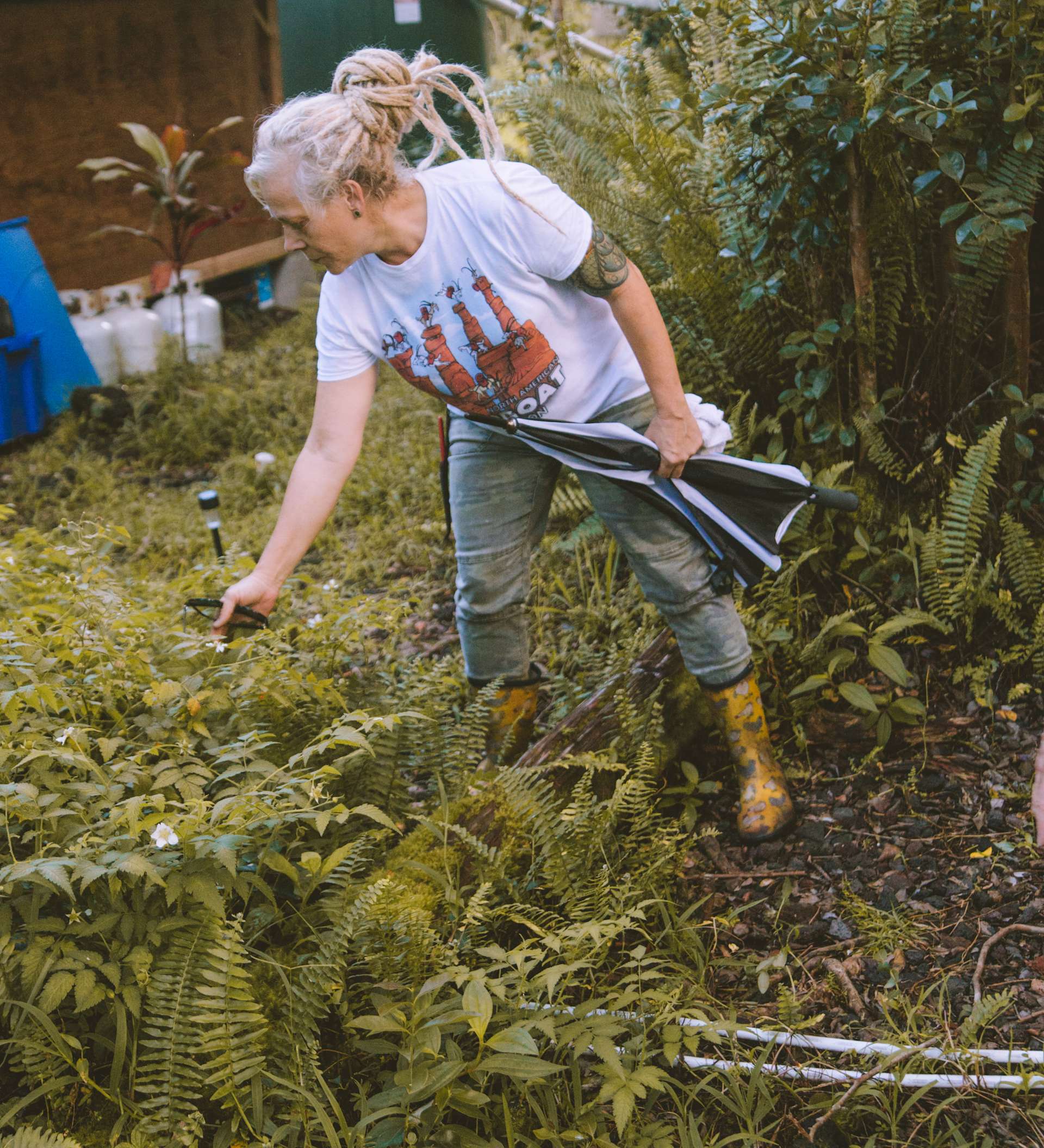 Goat With The Flow Farm - Hipcamp in Pahoa, Hawaii