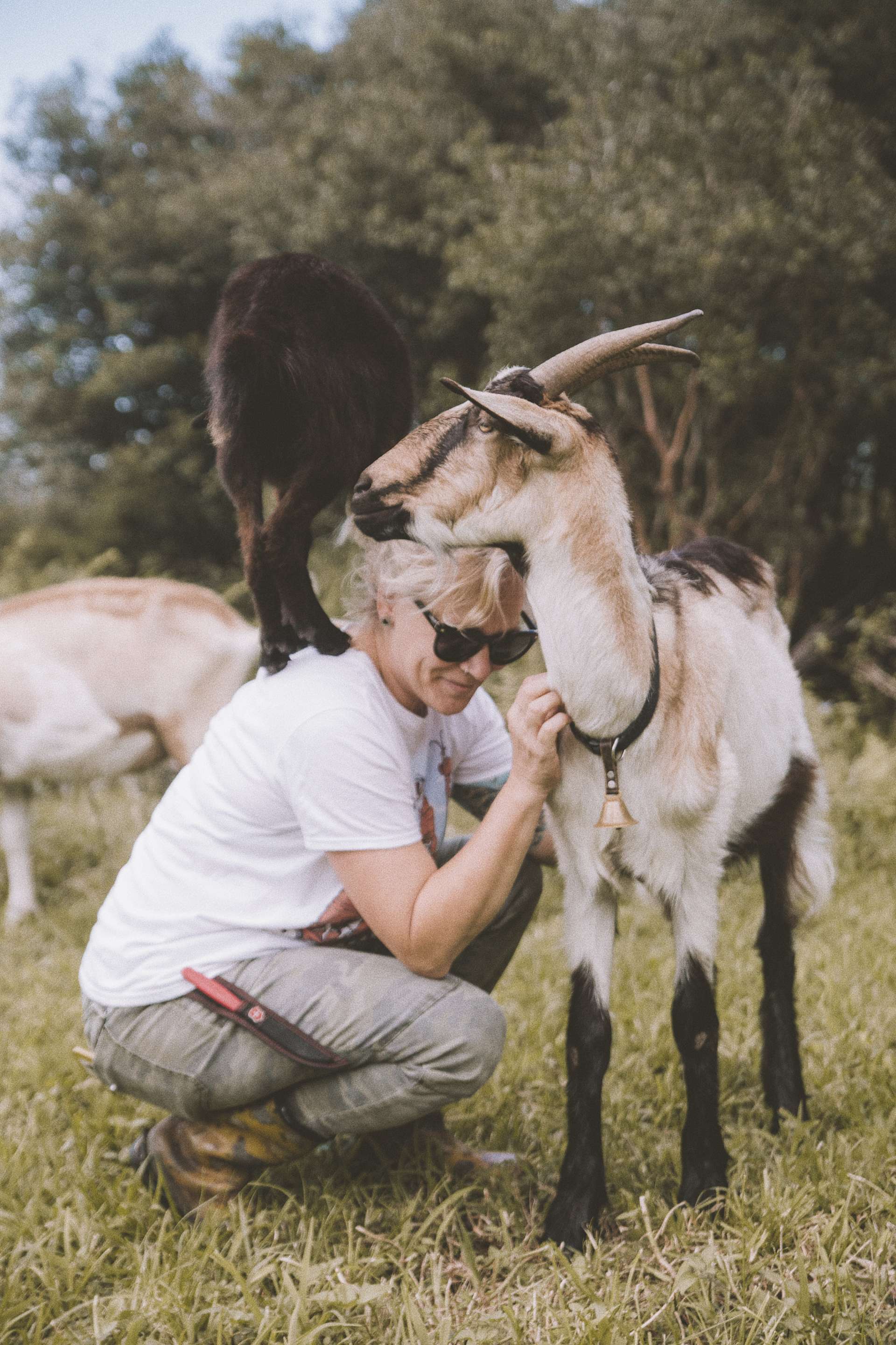 Goat With The Flow Farm - Hipcamp in Pahoa, Hawaii