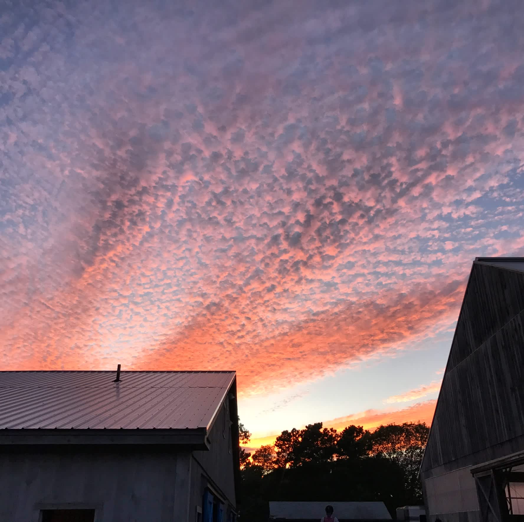 Cape Cod Horse Farm - Hipcamp in Harwich, Massachusetts