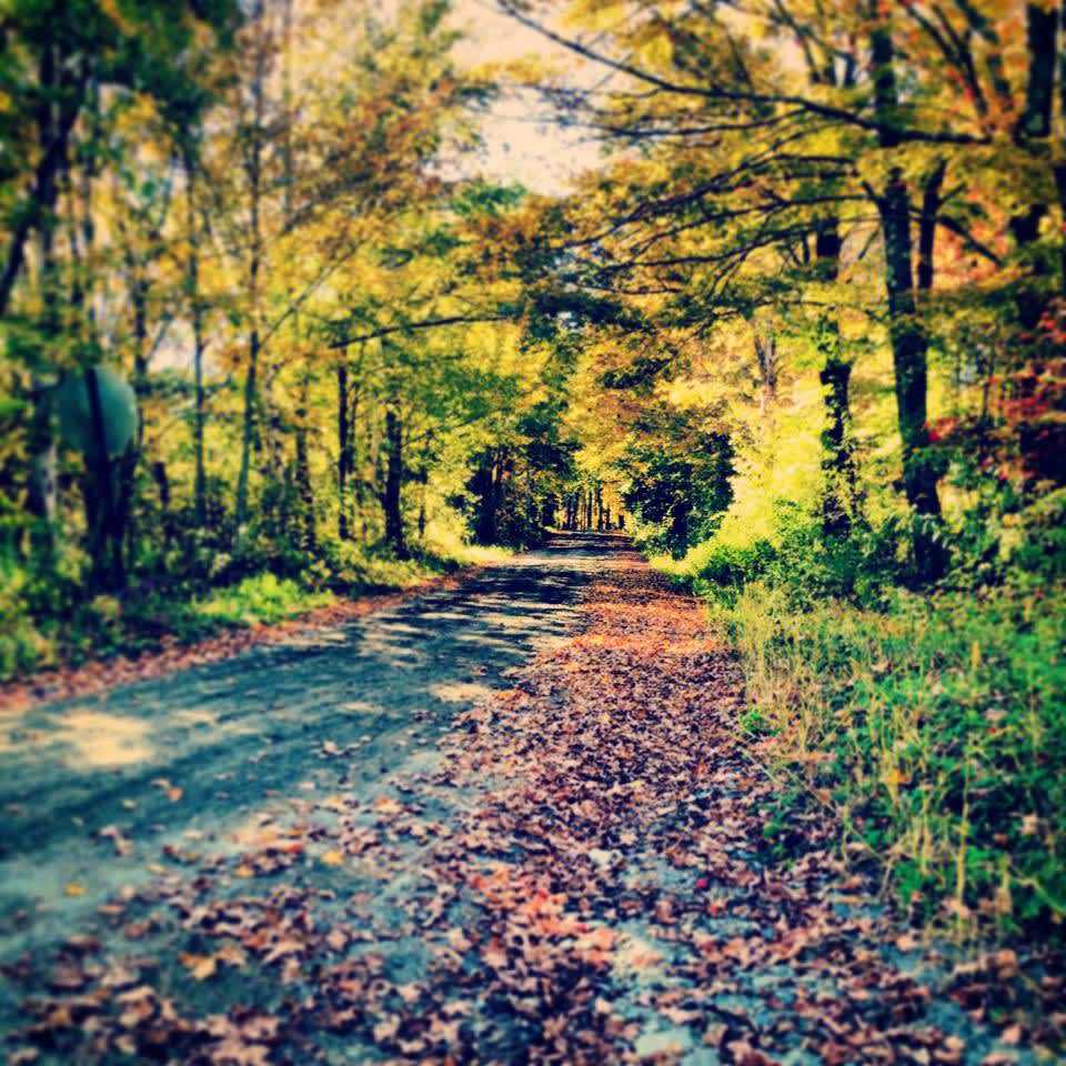 Quarry Brook - Hipcamp in , Vermont
