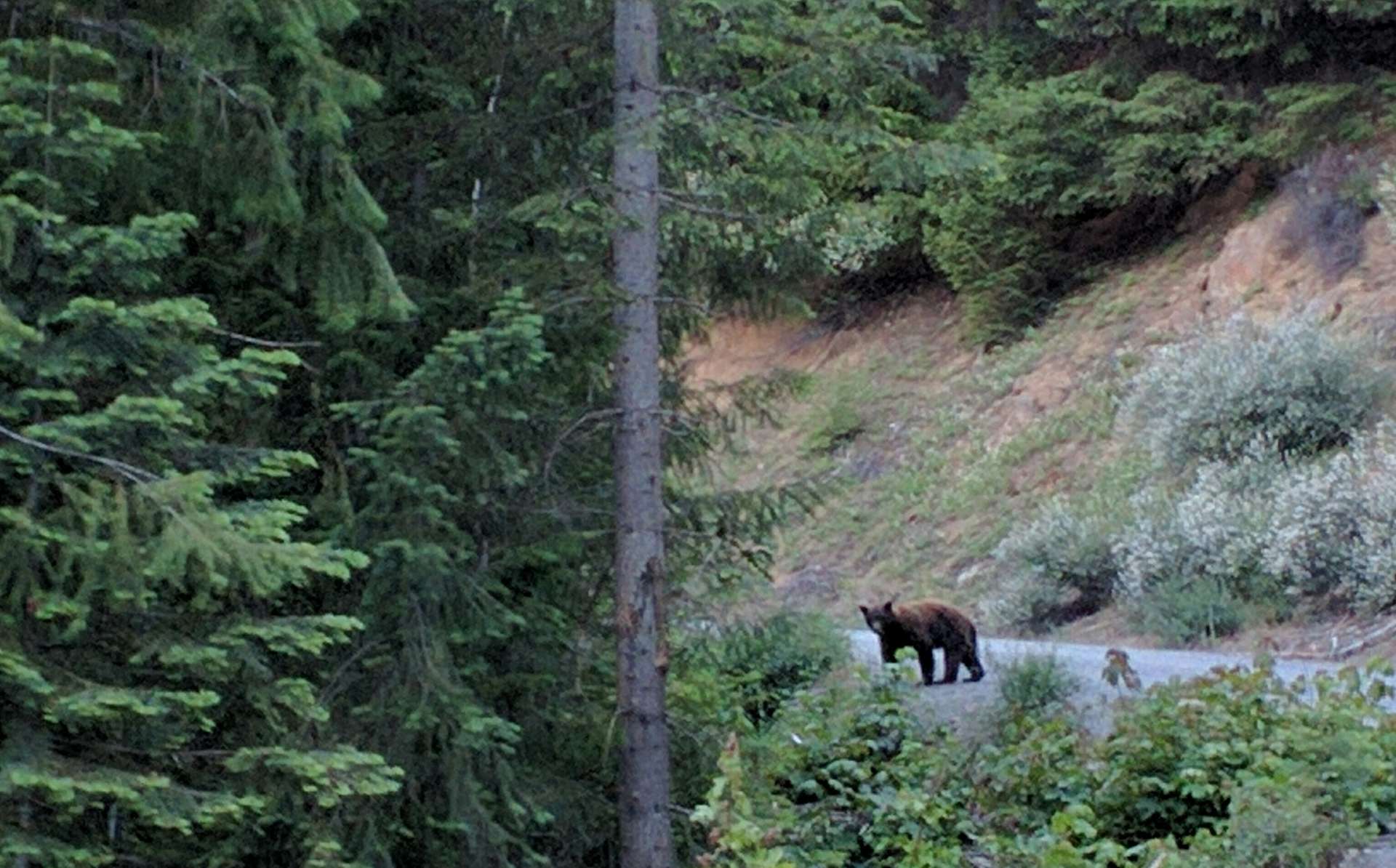 Trinity Outpost Wilderness Resort - Hipcamp in 122.928142, California