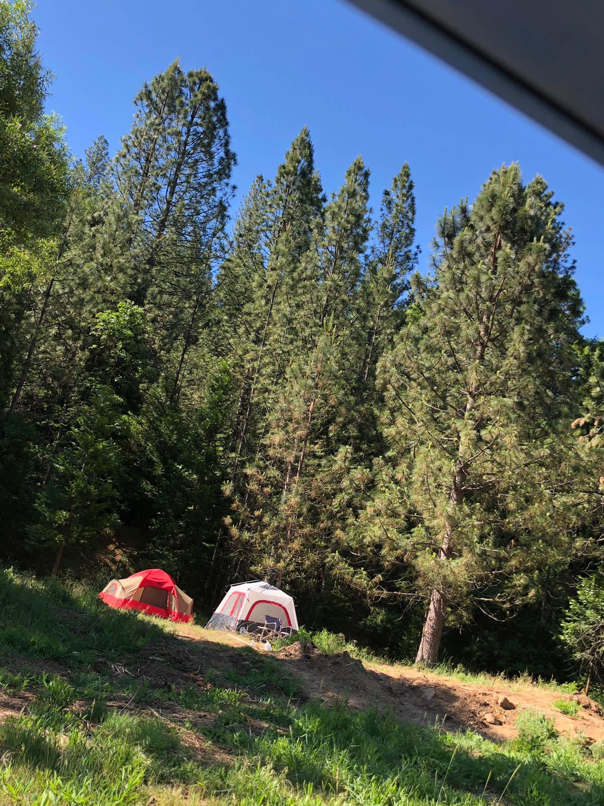 Rustic campsite in gold country - Hipcamp in Pioneer, California
