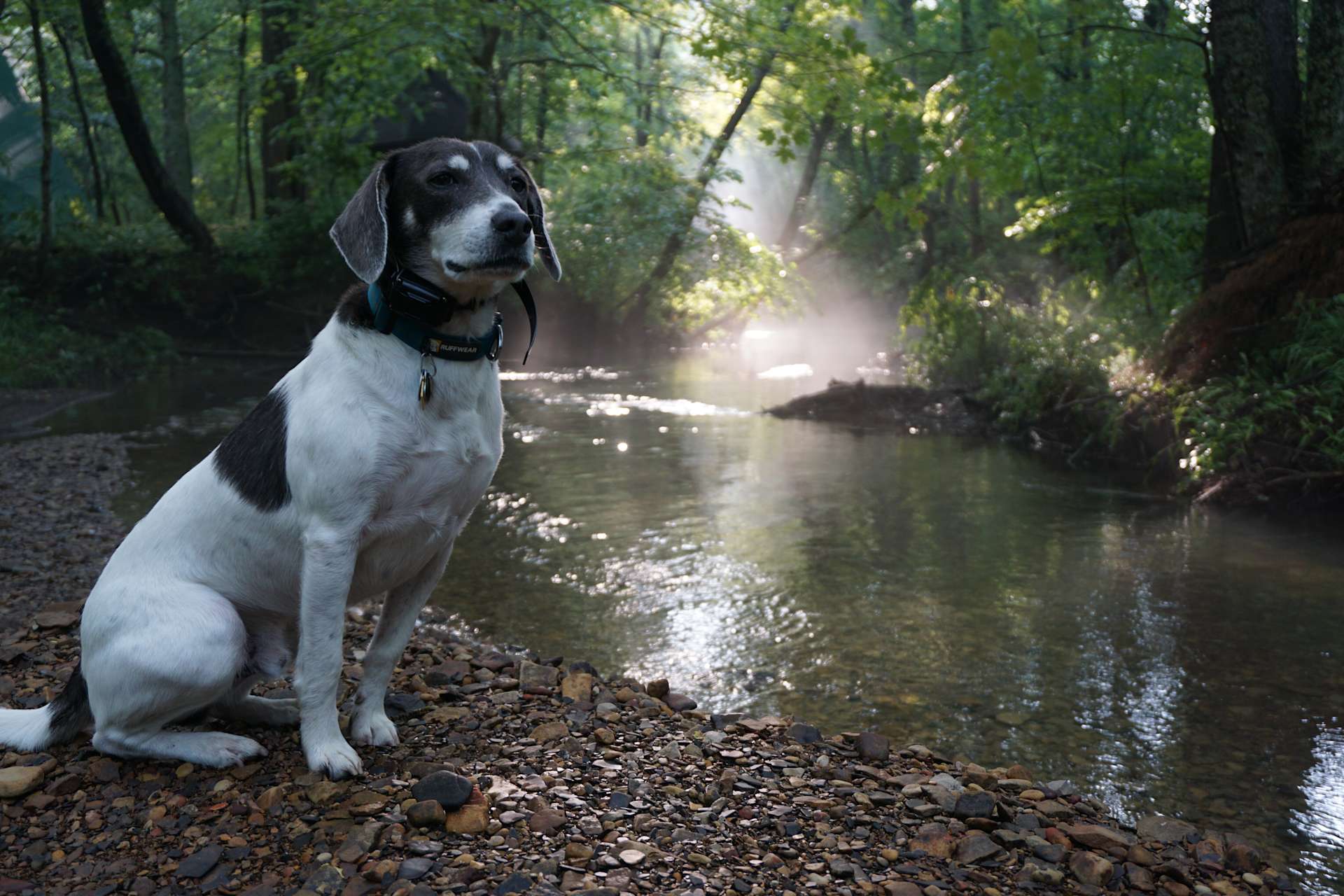 The Viking Longhall - Hipcamp in Peebles, Ohio