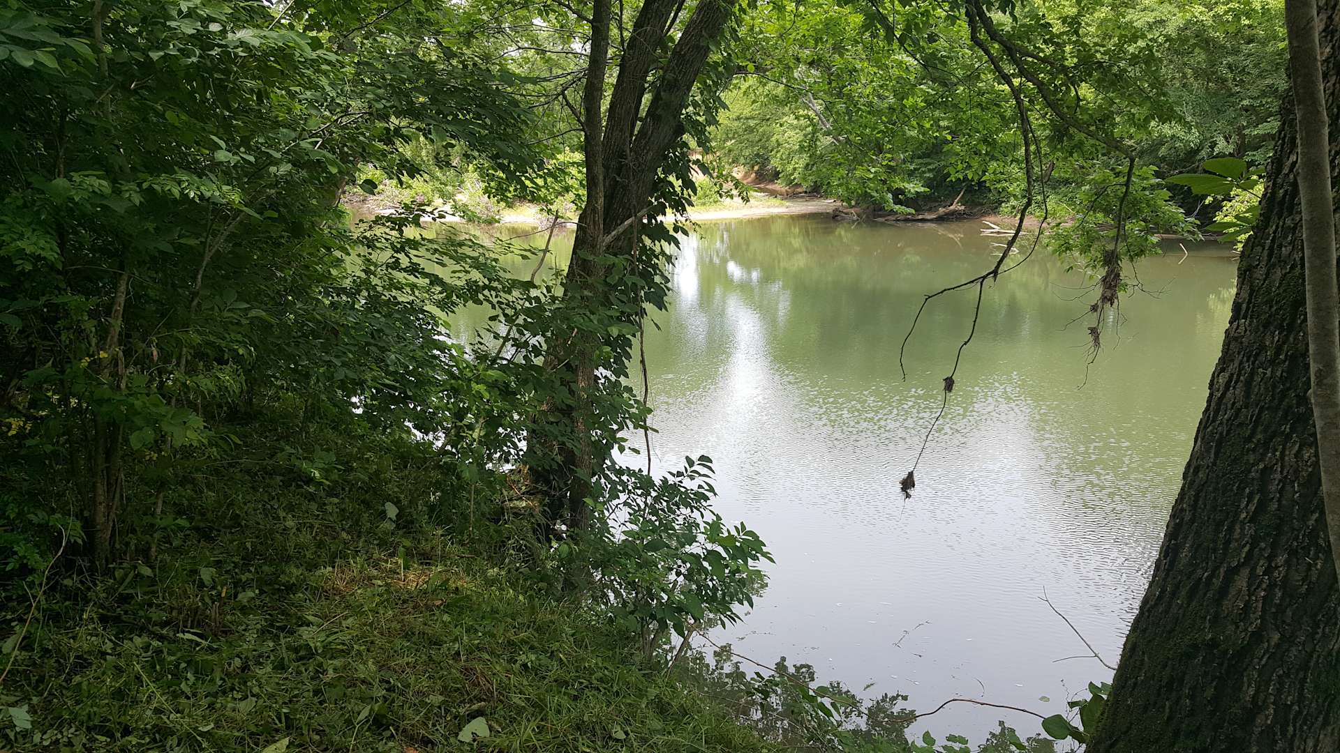 River Bluff Woods - Hipcamp in Buffalo, Missouri