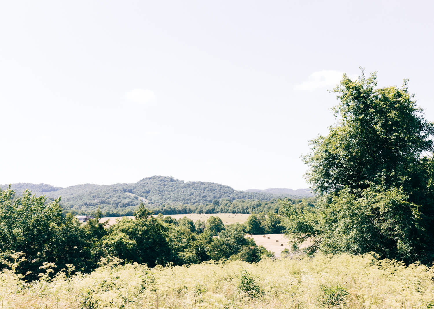 Quarter Spring Farm - Hipcamp in Liberty, Tennessee