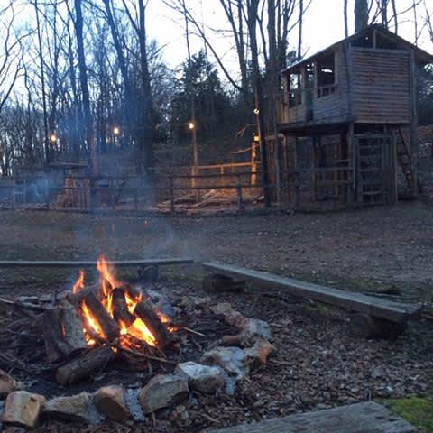 Old Wilderness Canyon - Hipcamp in Reeds Spring, Missouri