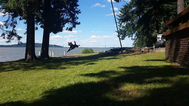 Fern Ridge lake Retreat - Hipcamp in Veneta, Oregon