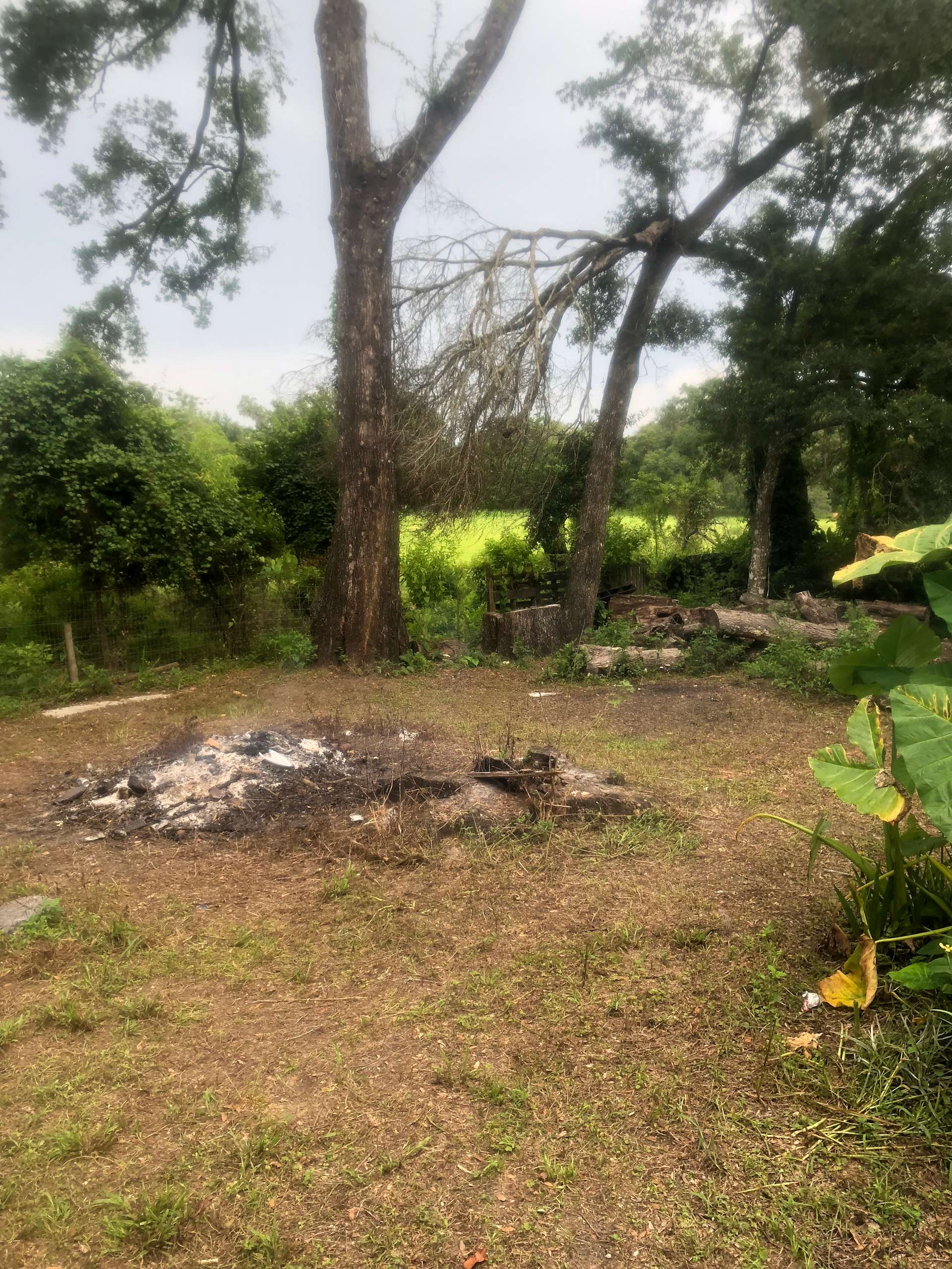 Positive Vibes Campground - Hipcamp in Bushnell, Florida