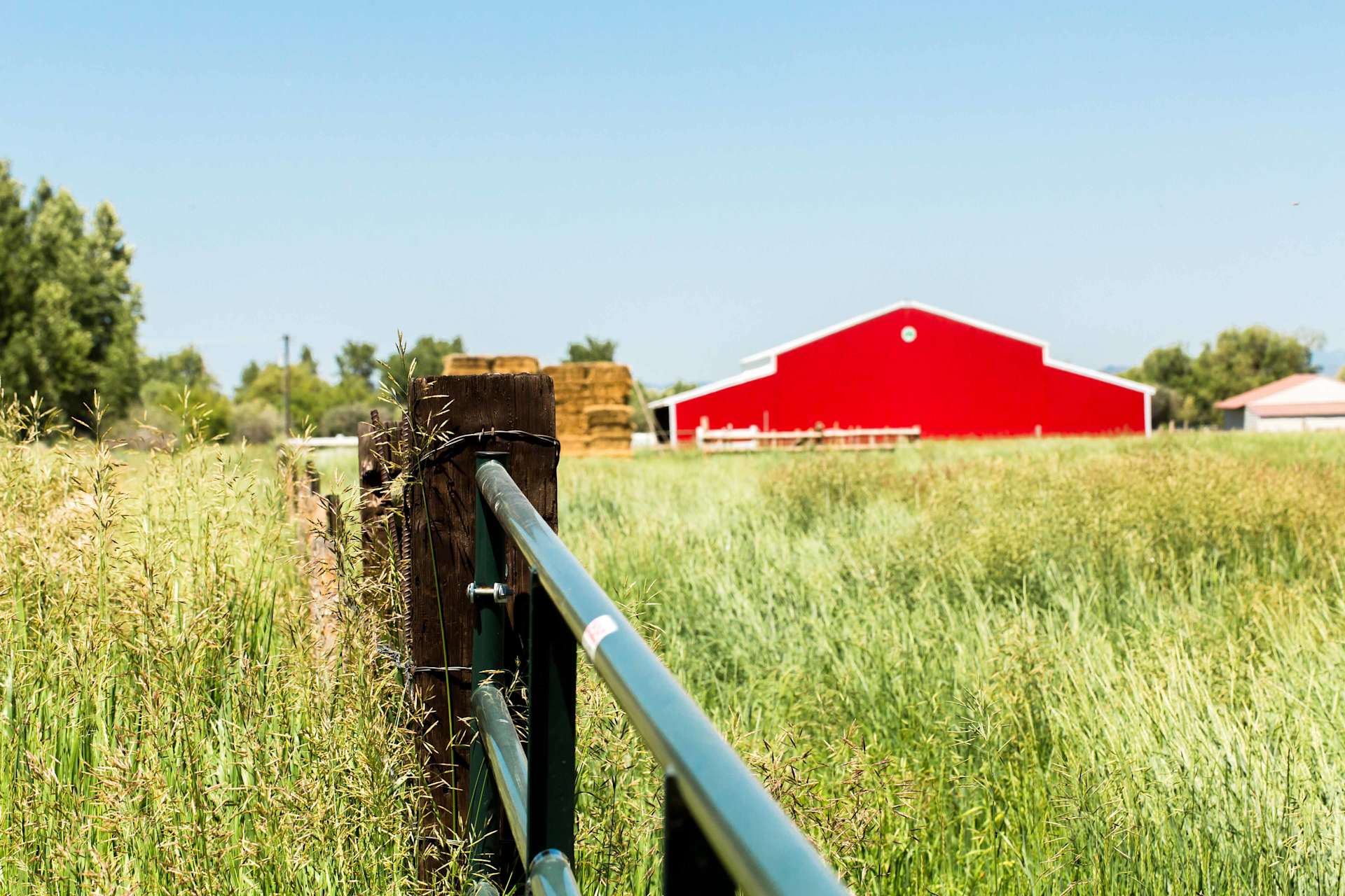 Hidden Meadow Ranch - Hipcamp in Deer Lodge, Montana