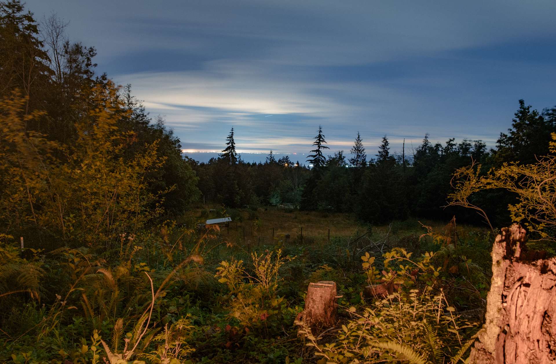 Ravensong Retreat - Hipcamp in Carlsborg, Washington
