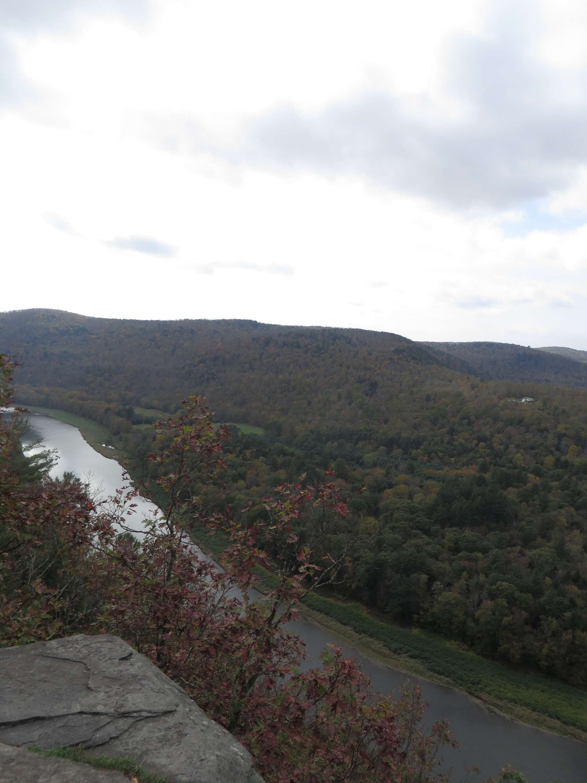 Camp Handsome Hollow - Hipcamp in Long Eddy, New York