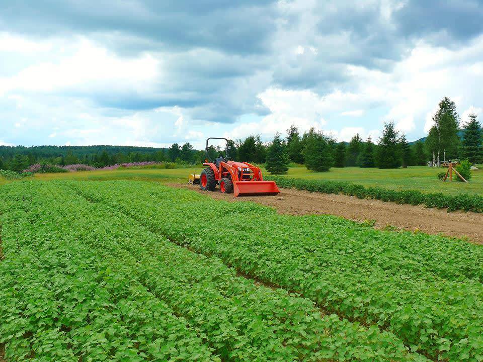 Twin Brook Farm - Hipcamp in Mt Chase, Maine