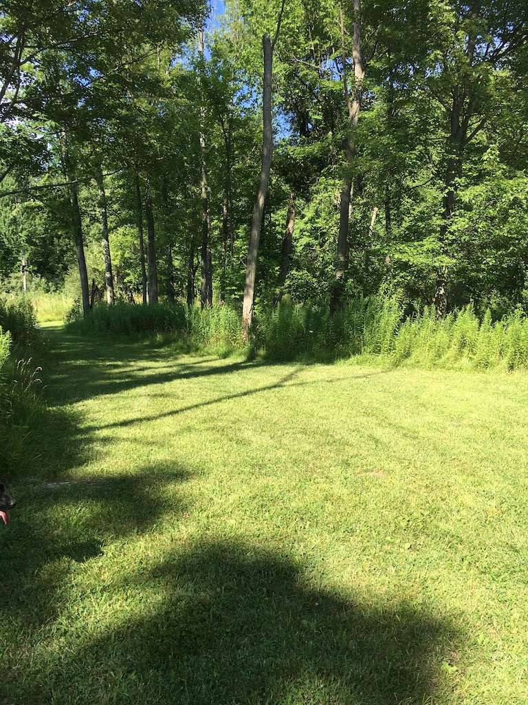 Songdog Meadows - Hipcamp in Angola, Indiana