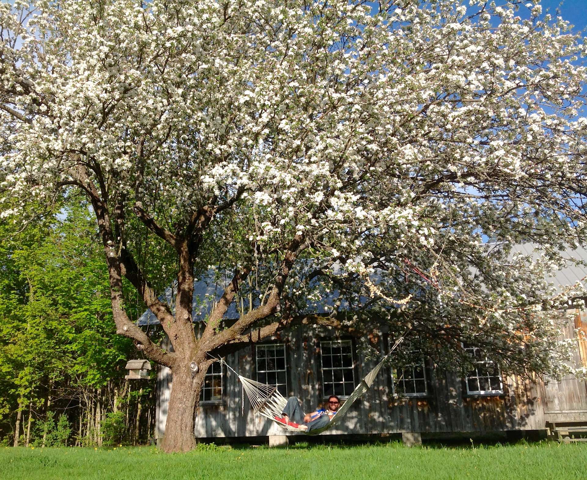 Camp Benjamin - Hipcamp in Boonville, New York