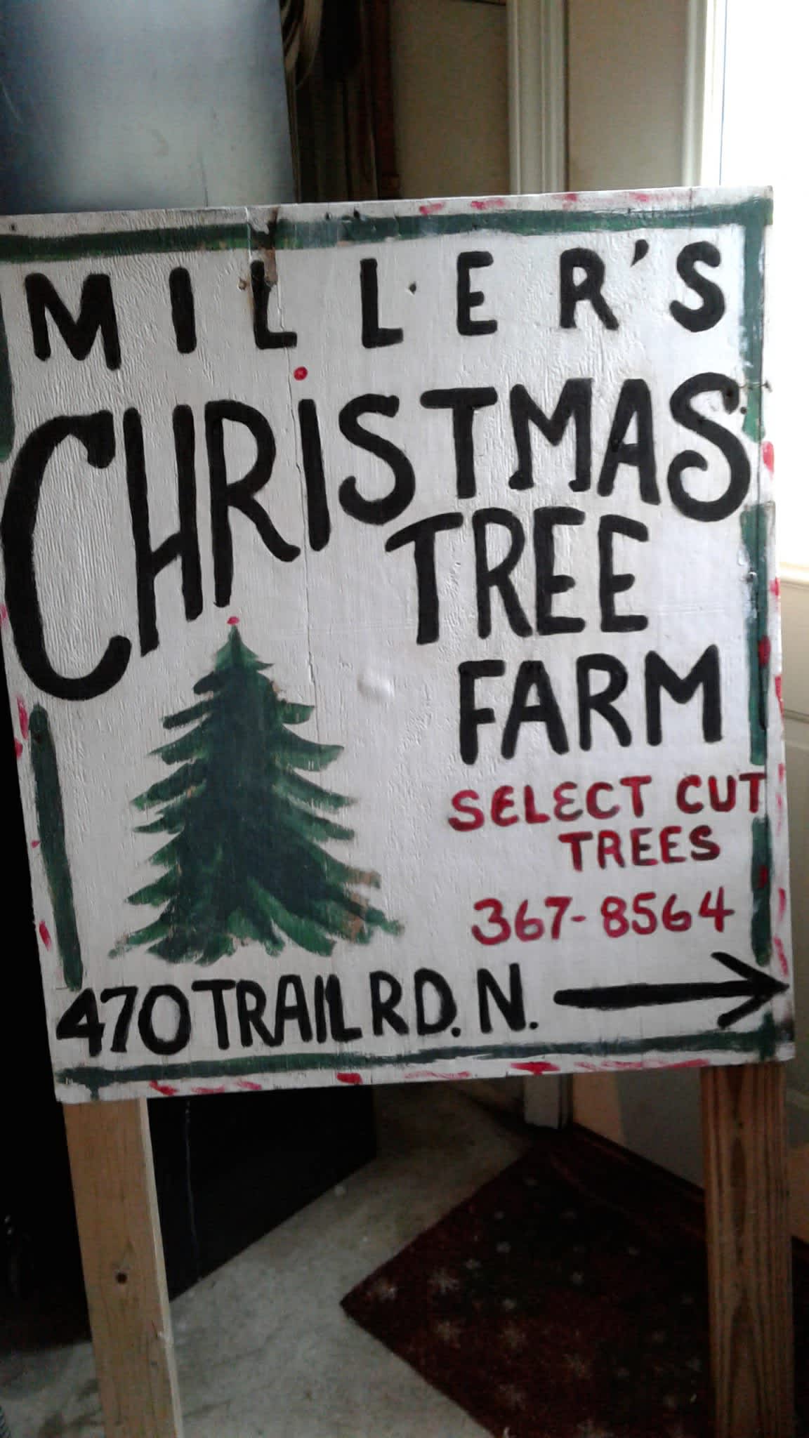 Christmas Tree Farm with Views - Hipcamp in Elizabethtown, Pennsylvania