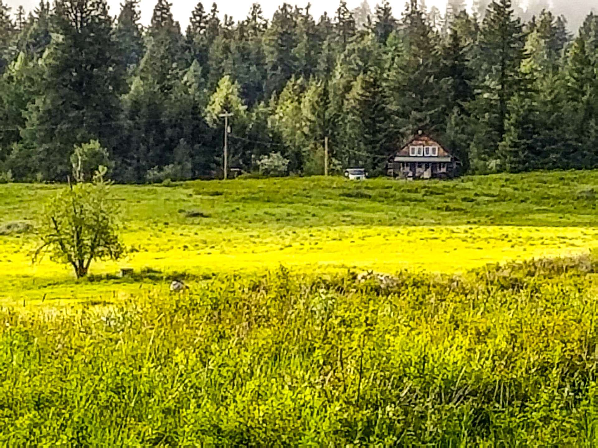 Toby Mill Cabin - Hipcamp in , Washington