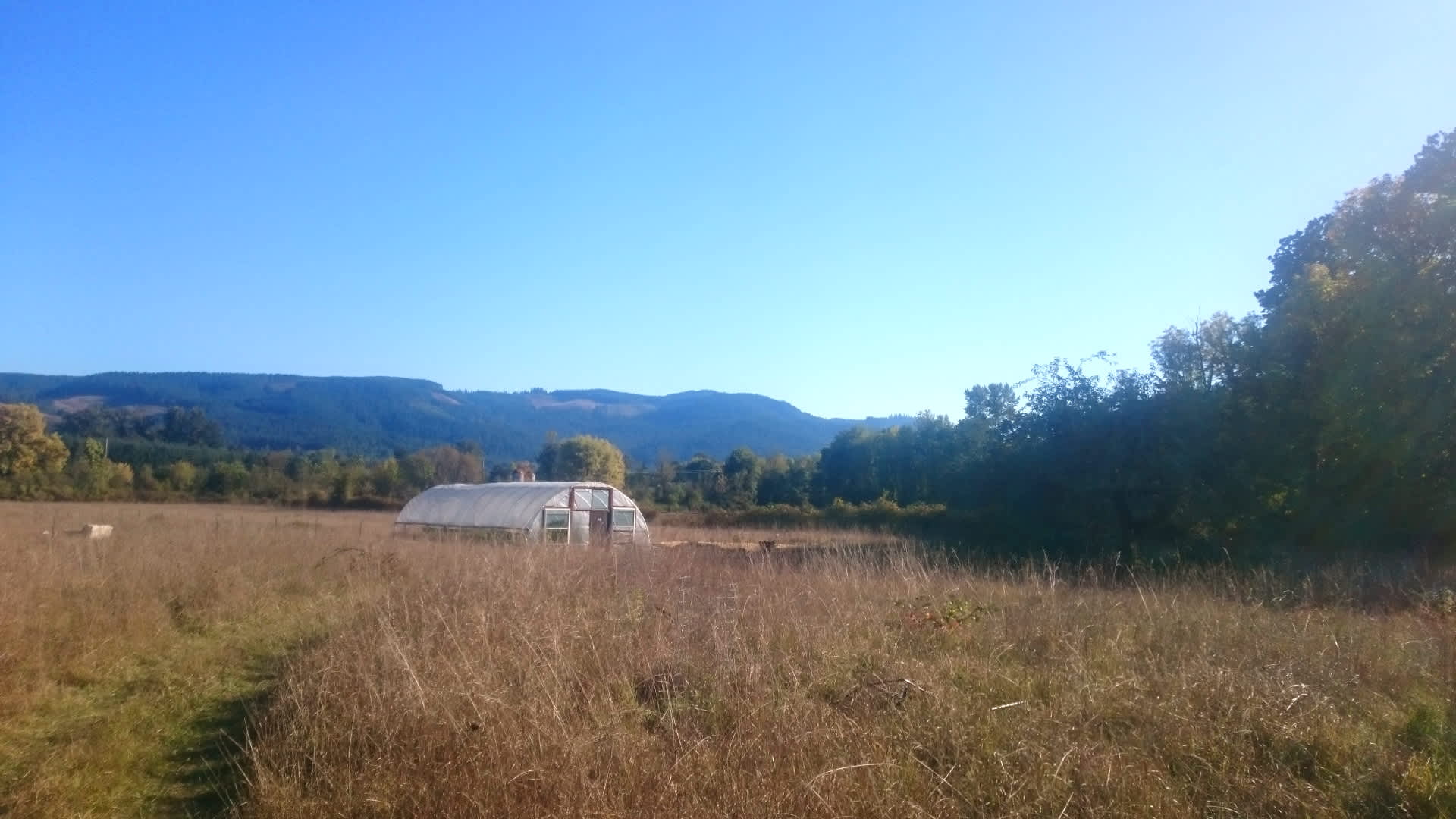 Rainbow Bus - Mohawk River Vall - Hipcamp in Springfield, Oregon