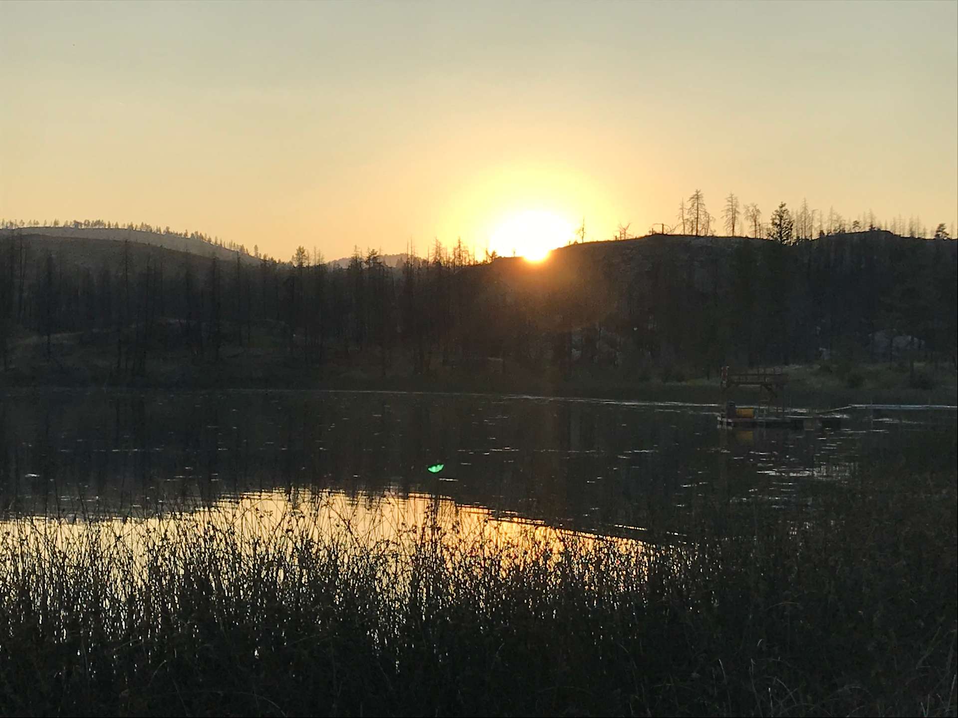 Nirvana Gardens - Hipcamp in Riverside, Washington