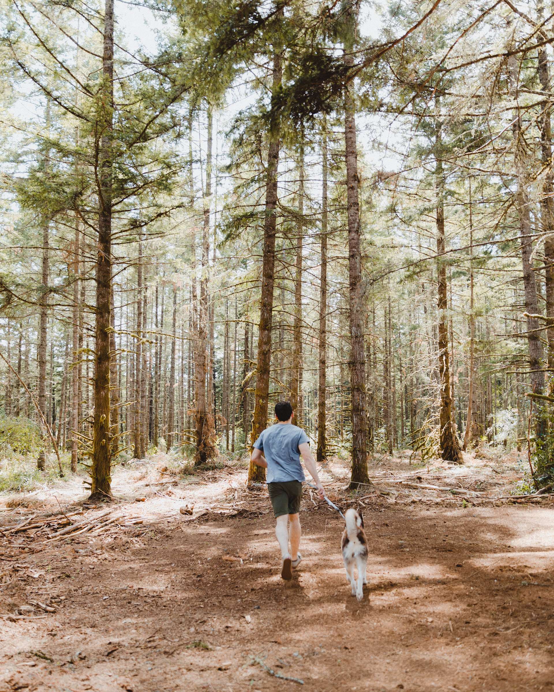 Welcome Back Woods - Hipcamp in Colton, Oregon