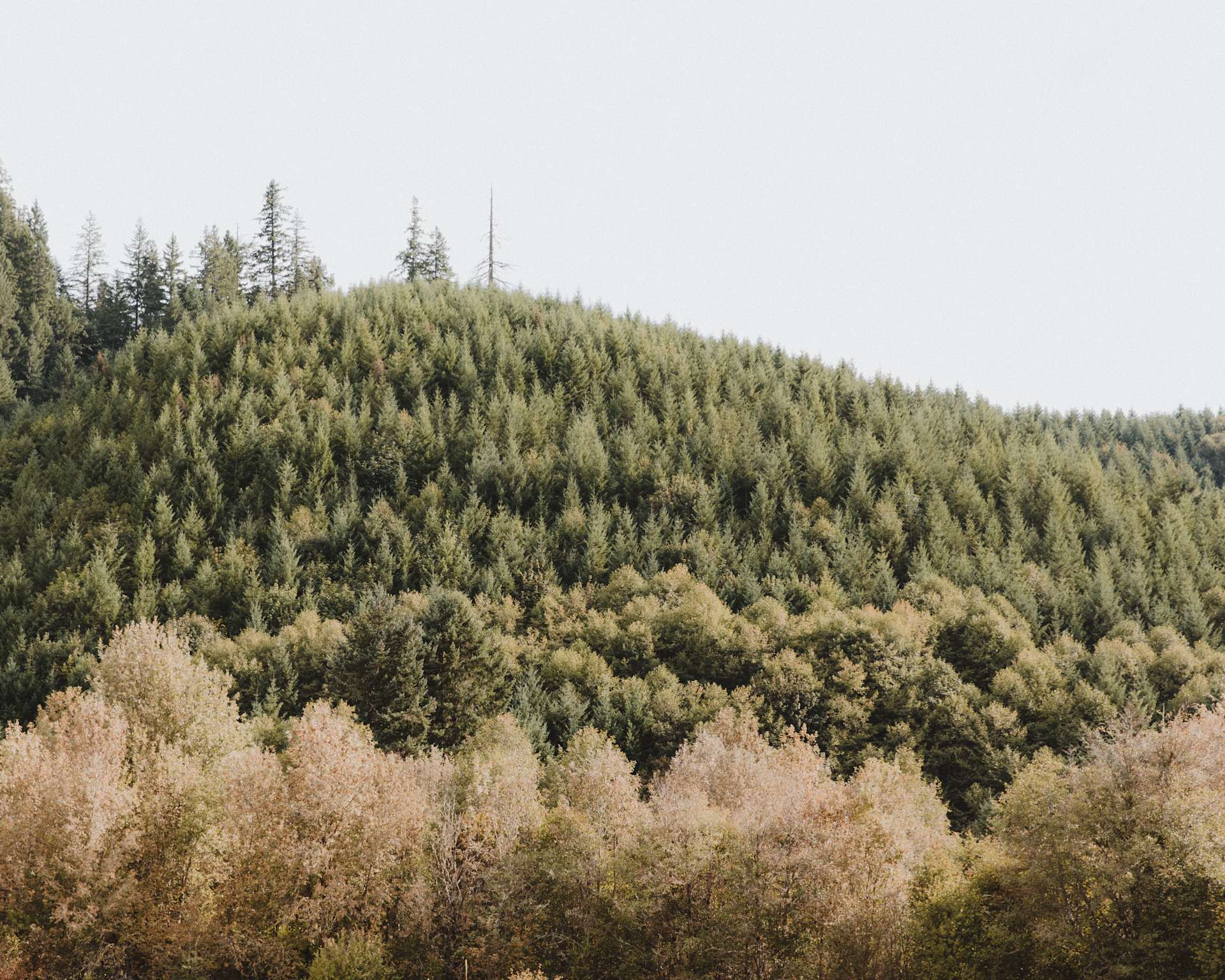 The Aloha Ranch - Hipcamp in Cheshire, Oregon