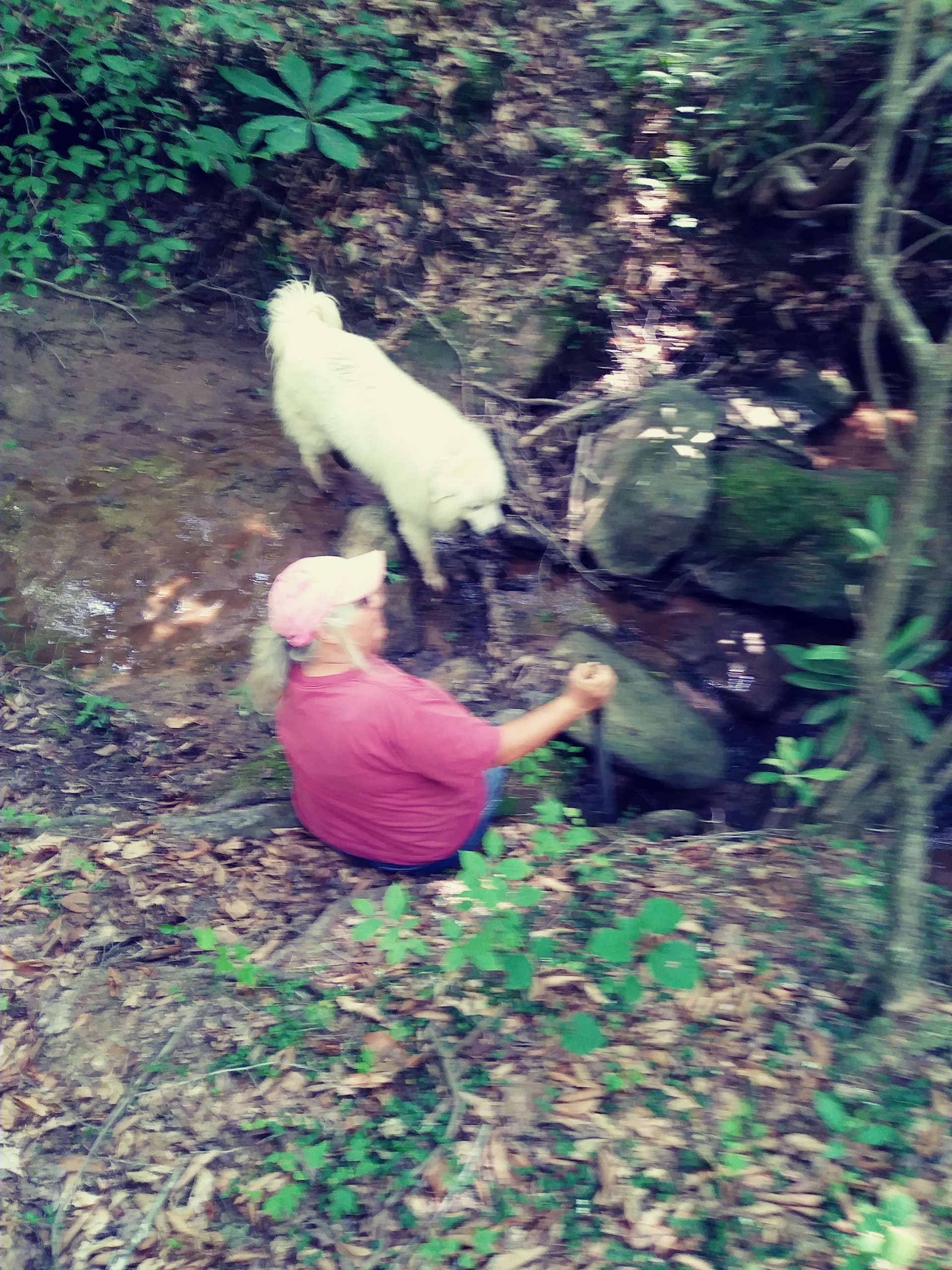 Millbranch Farm - Hipcamp in Adams, Kentucky