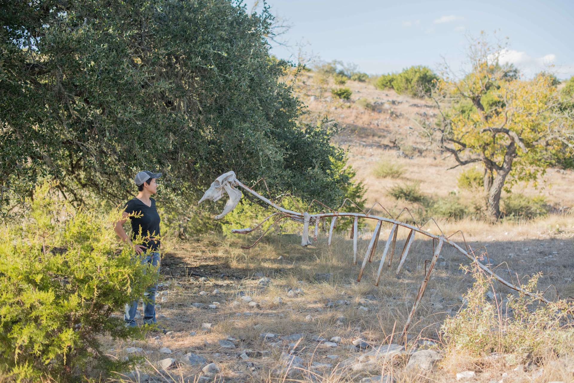 Grapevine Springs Retreat - Hipcamp in Leakey, Texas