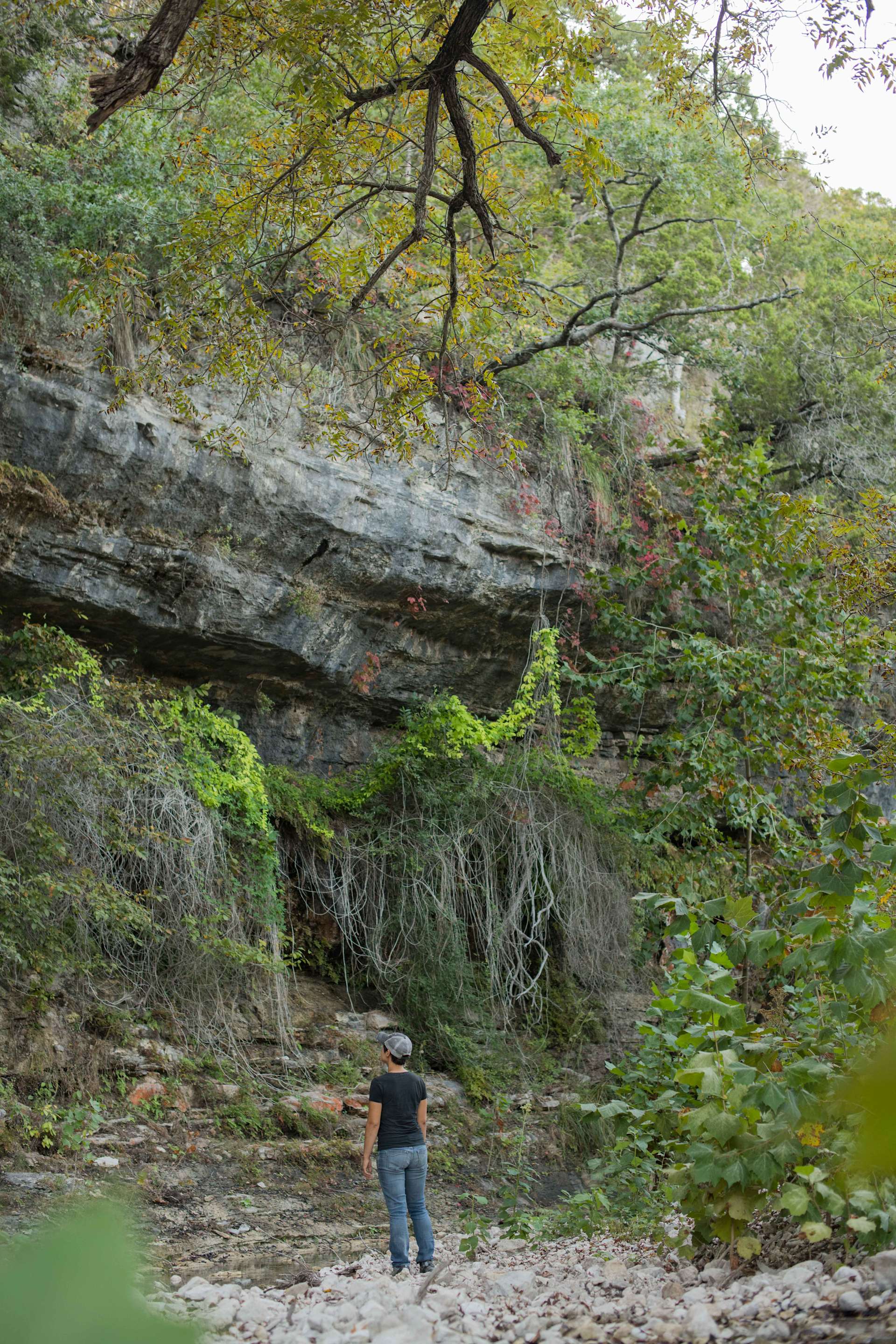 Grapevine Springs Retreat - Hipcamp in Leakey, Texas
