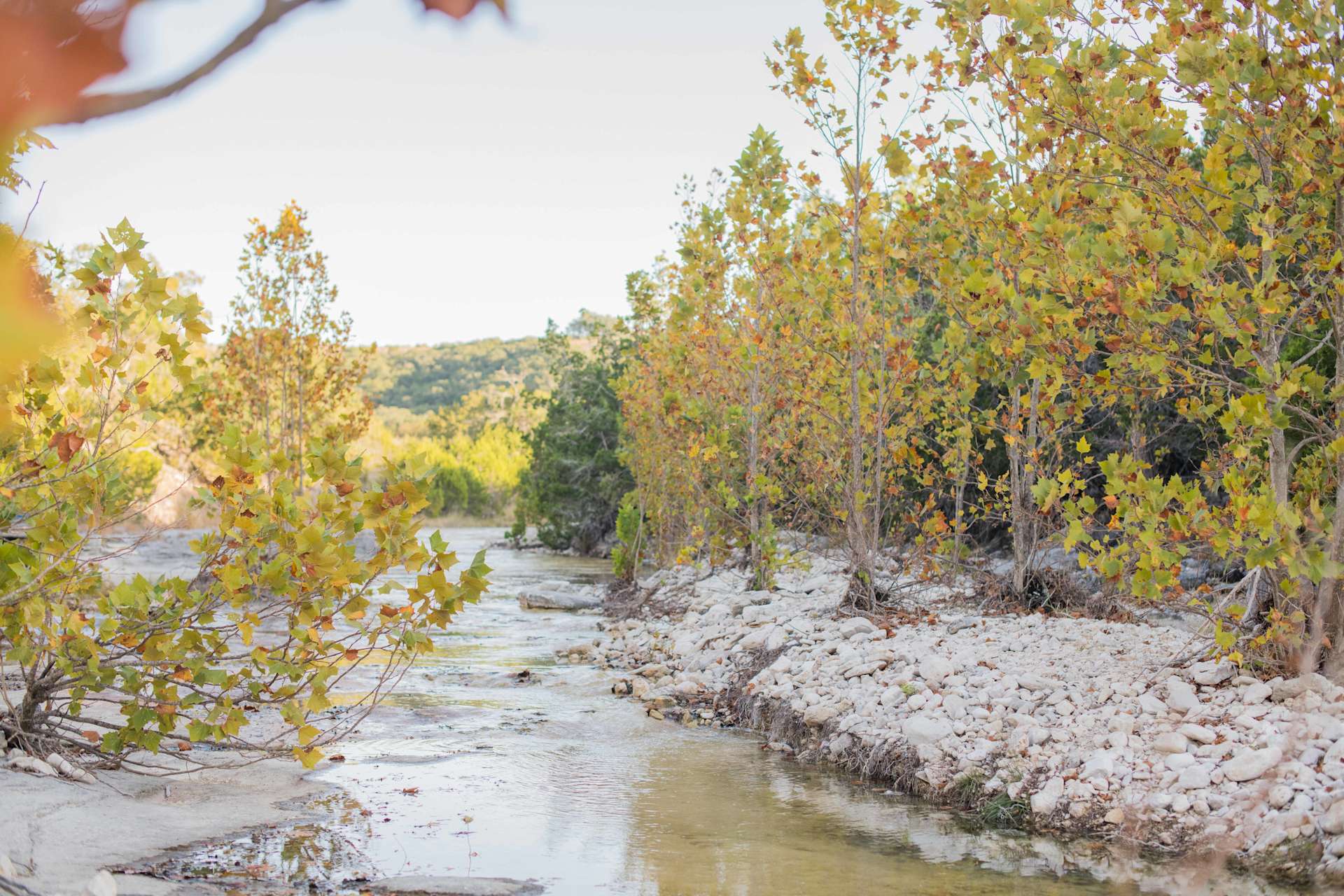 Grapevine Springs Retreat - Hipcamp in Leakey, Texas