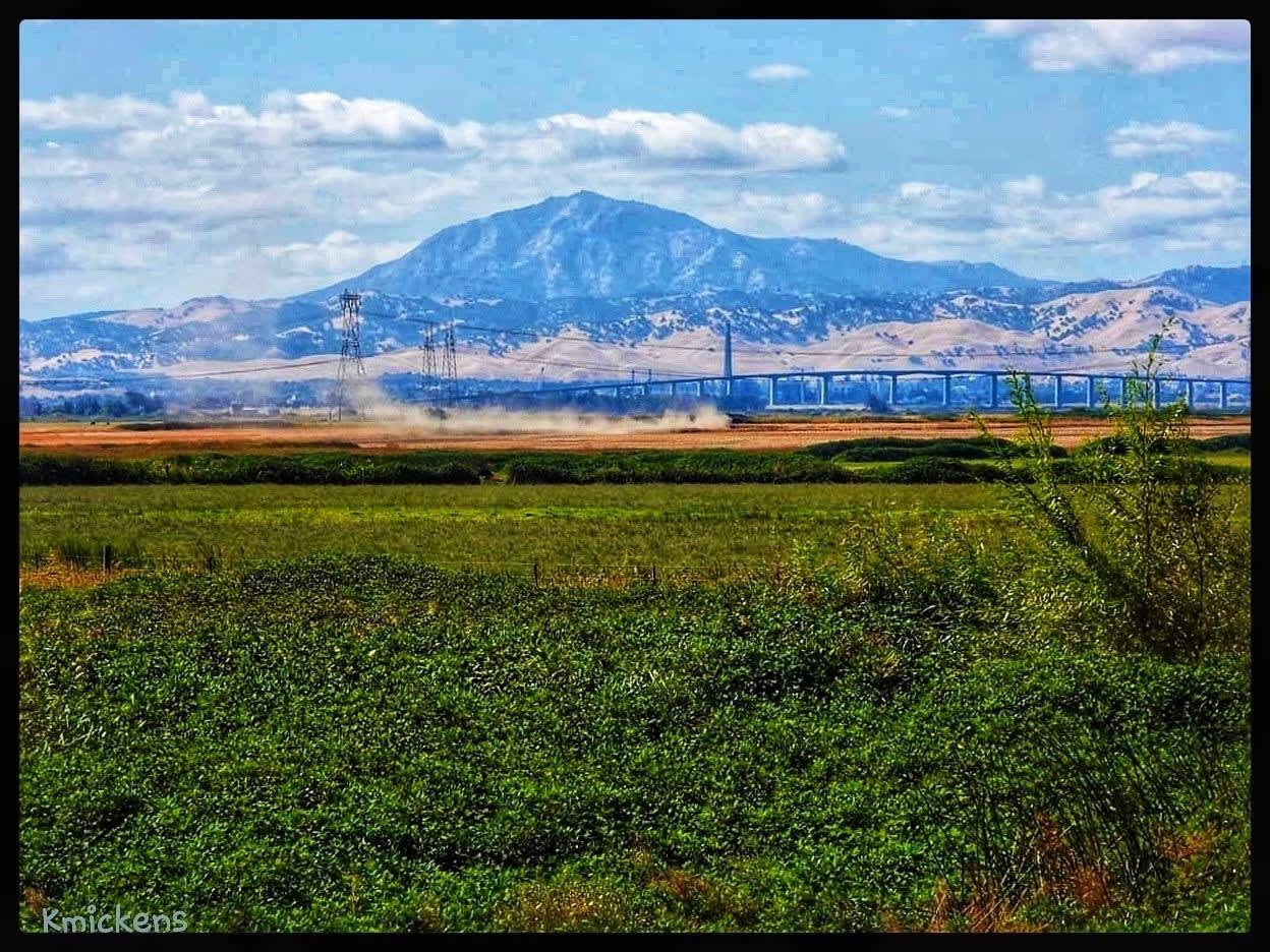 The Meadows at Isleton - Hipcamp in Isleton, California