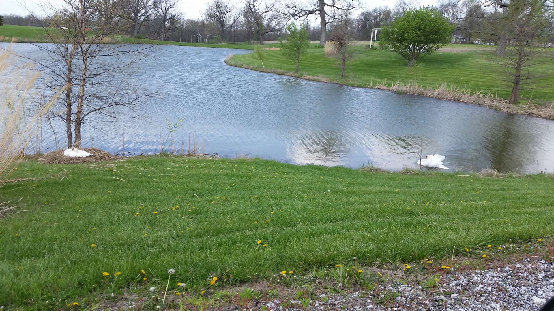 Buena Vista Farms - Hipcamp in Chapin, Illinois