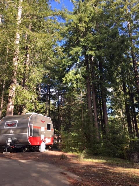 Peaceful Coastal Redwoods - Hipcamp in Jenner, California