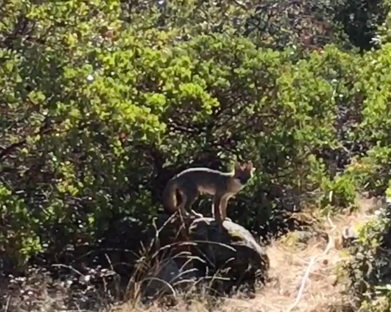 Big Bend Hot Springs Project - Hipcamp in Big Bend, California