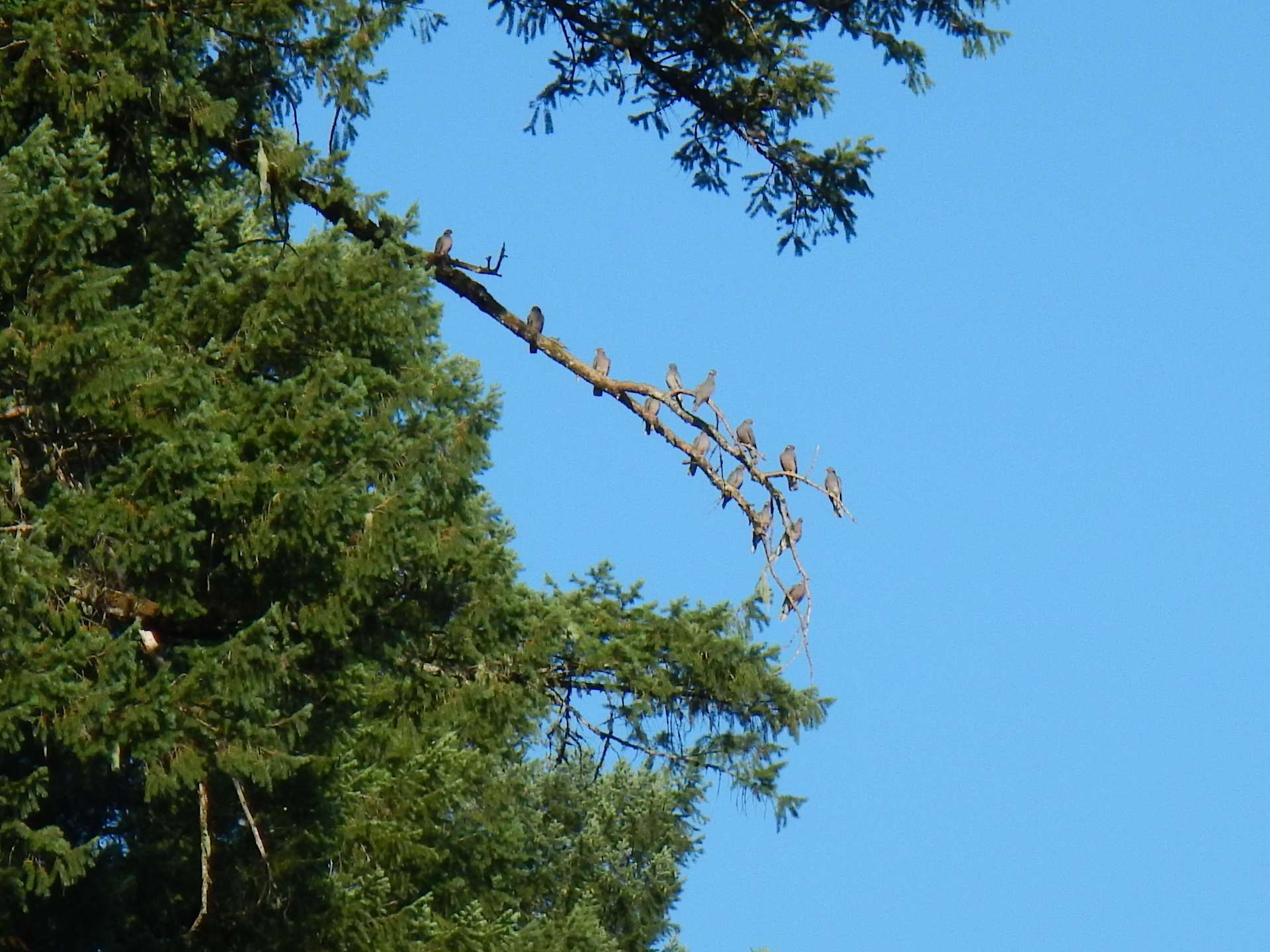Big Bend Hot Springs Project - Hipcamp in Big Bend, California