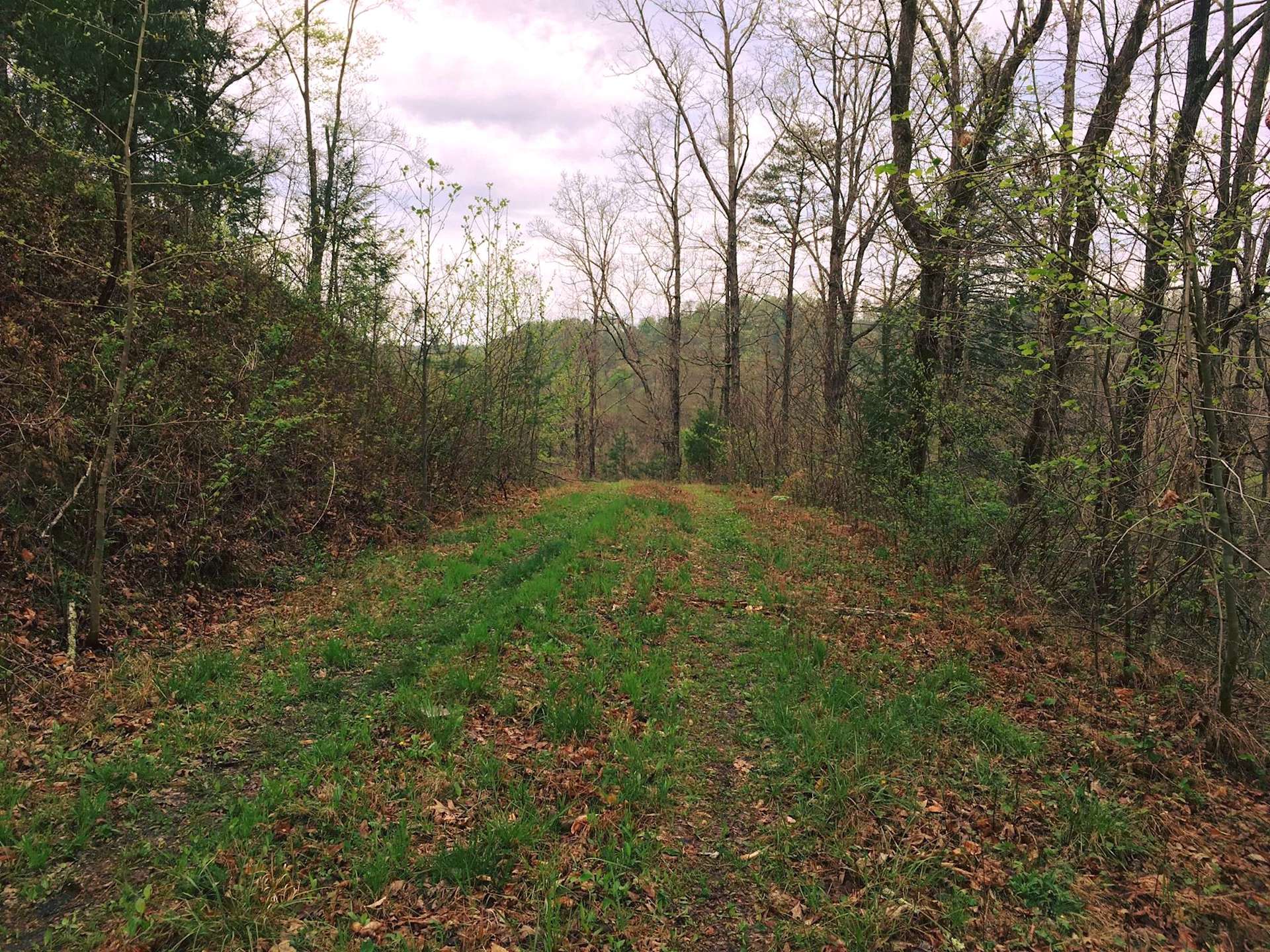 Roaring Shoals Farm - Hipcamp in Jackson, Kentucky