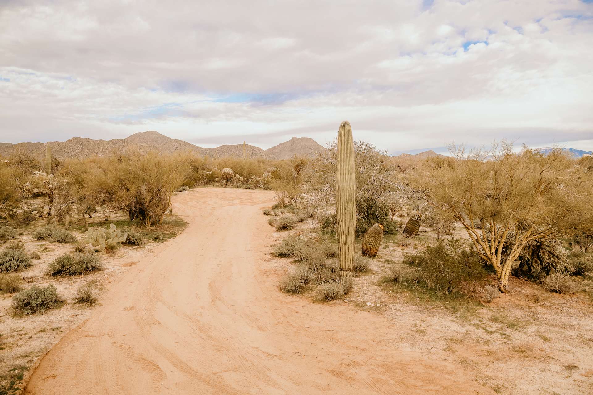 Wild Burro Desert Retreat - Hipcamp in Marana, Arizona