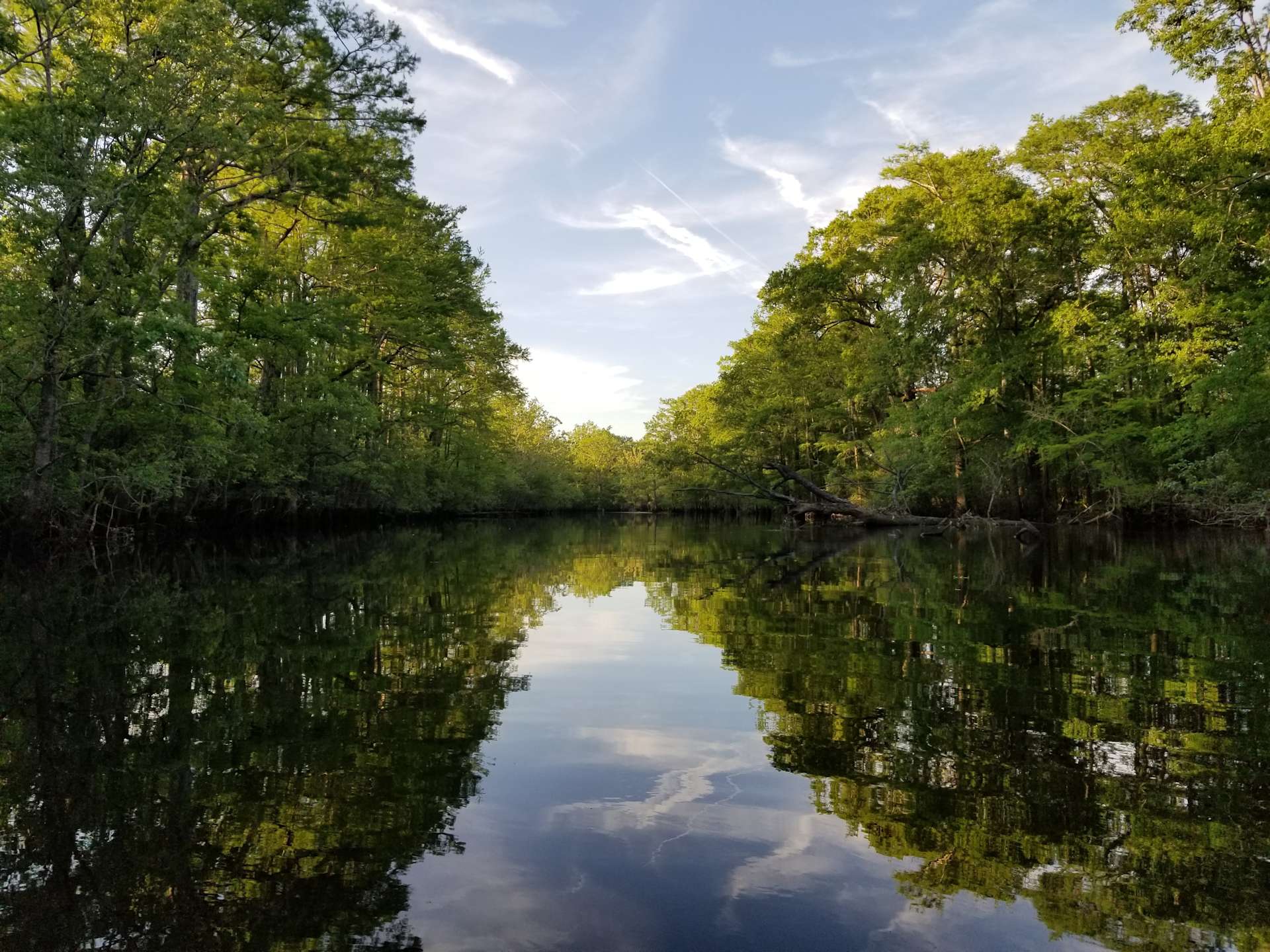 Black River Camping Ventures - Hipcamp in Ivanhoe, North Carolina