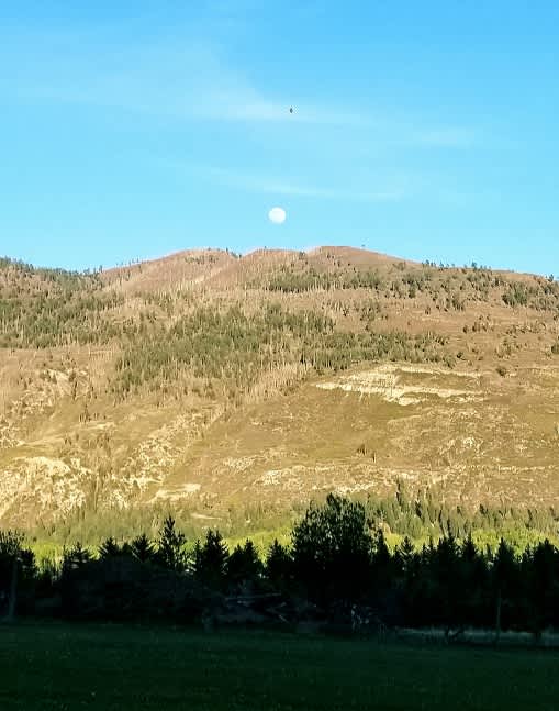 Animas River Valley red cliffs - Hipcamp in Durango, Colorado